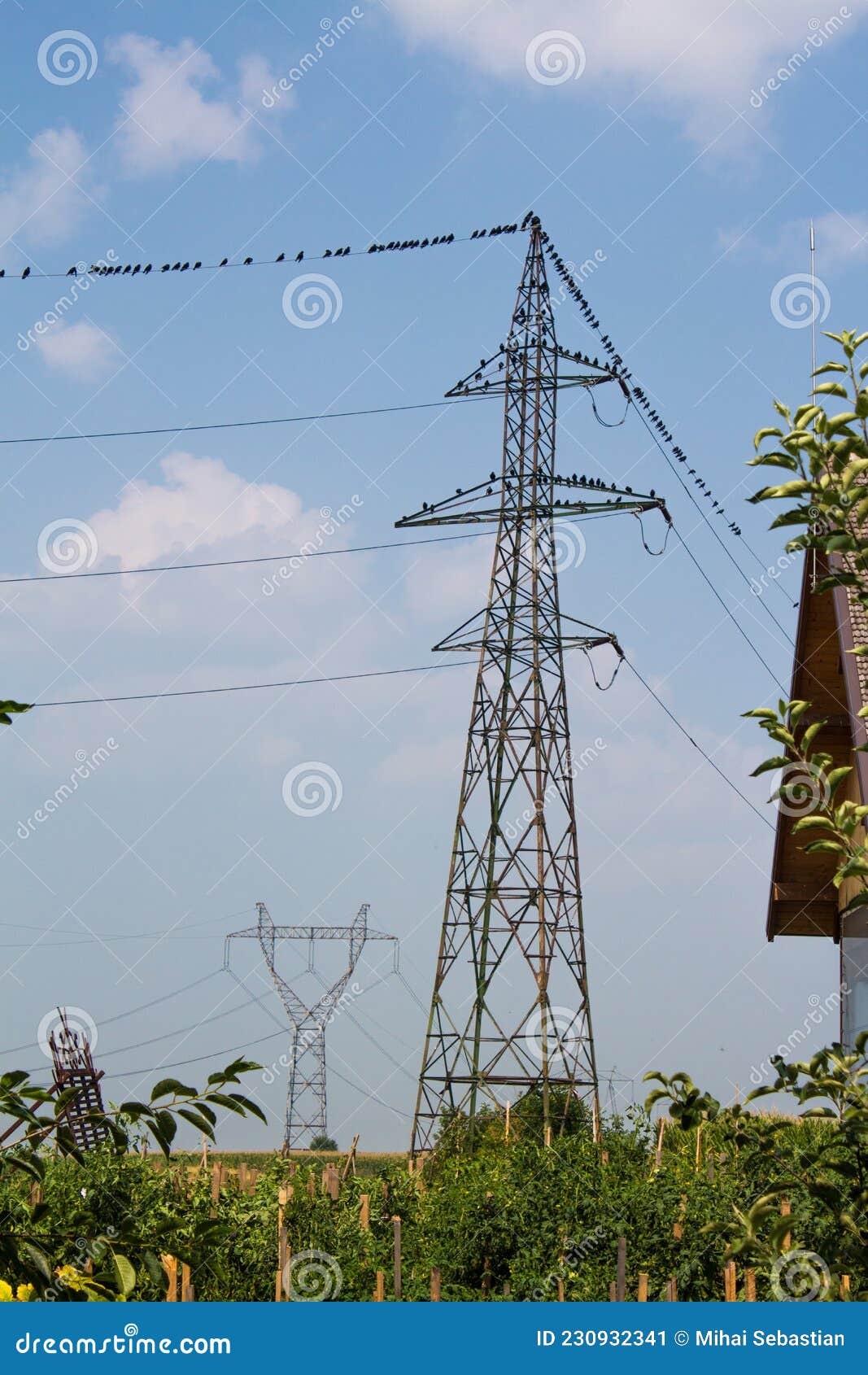 High Voltage Power Poll stock image. Image of energy - 230932341