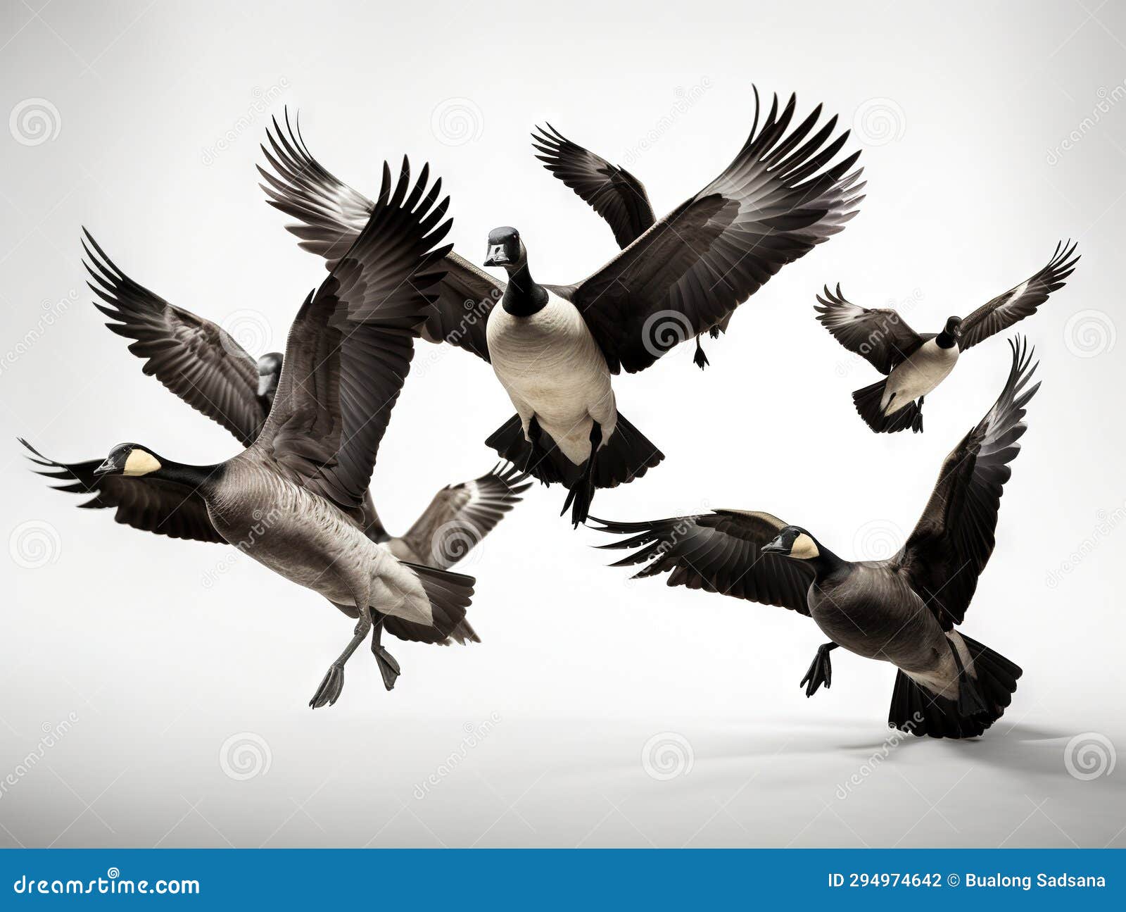 Flock of Canada Geese Made with Generative AI Illustration Stock ...