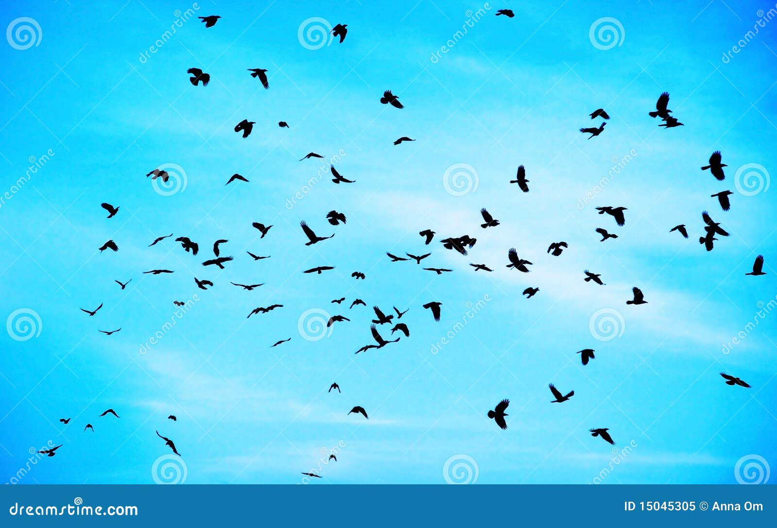 Flock of crows stock image. Image of peaceful, silhouette - 15045305