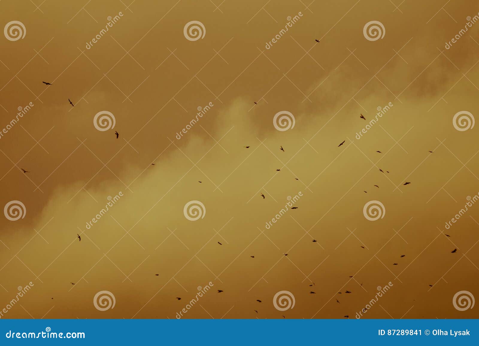 Flock of Crows Flying in the Sky on a Yellow Background Stock Image ...