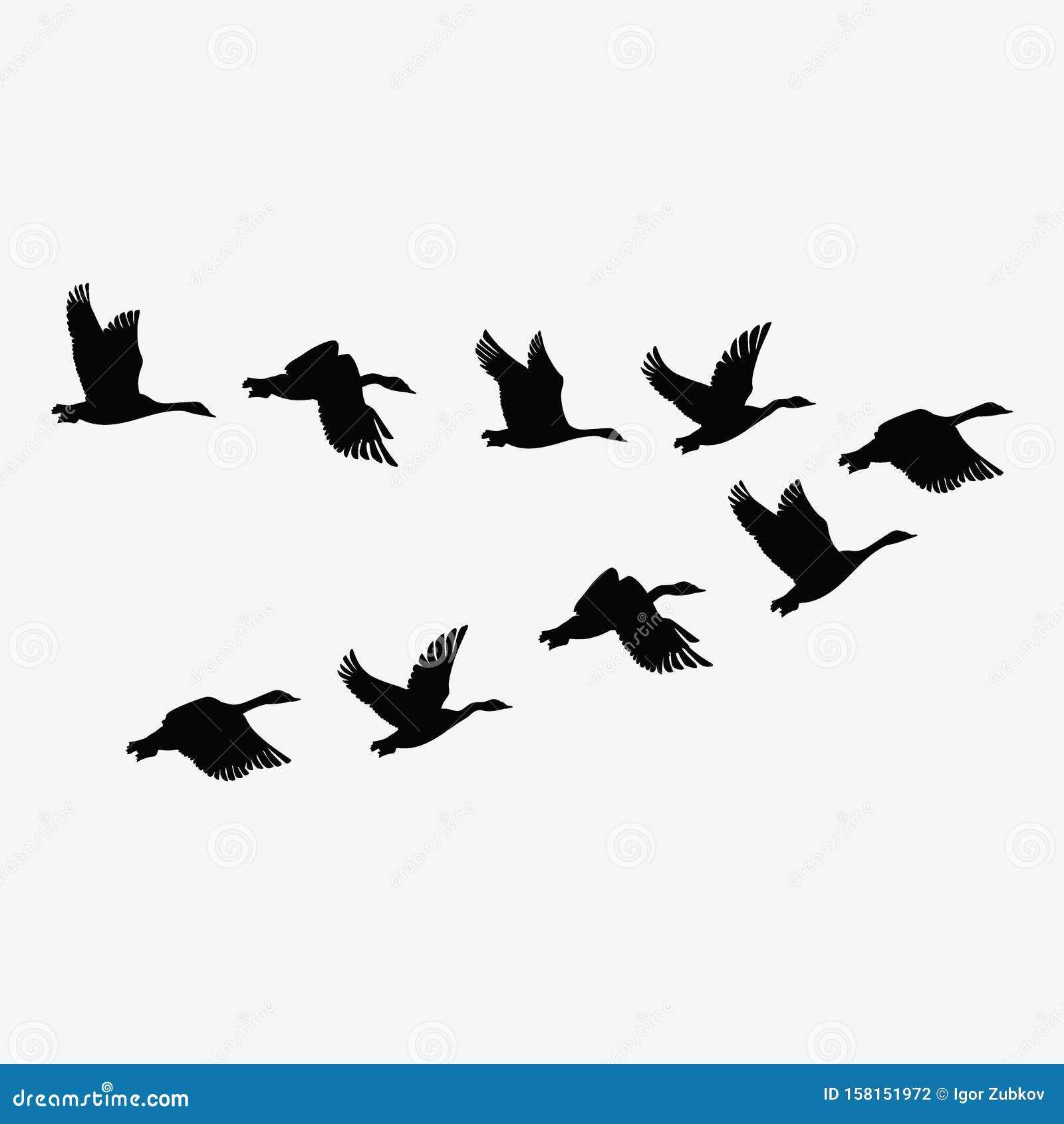 Flock Of Ducks. A Cartoon Flock Of Birds. Vector Illustration Of Flying ... Flock Of Ducks. A Cartoon Flock Of Birds. Vector Illustration Of Flying ...
