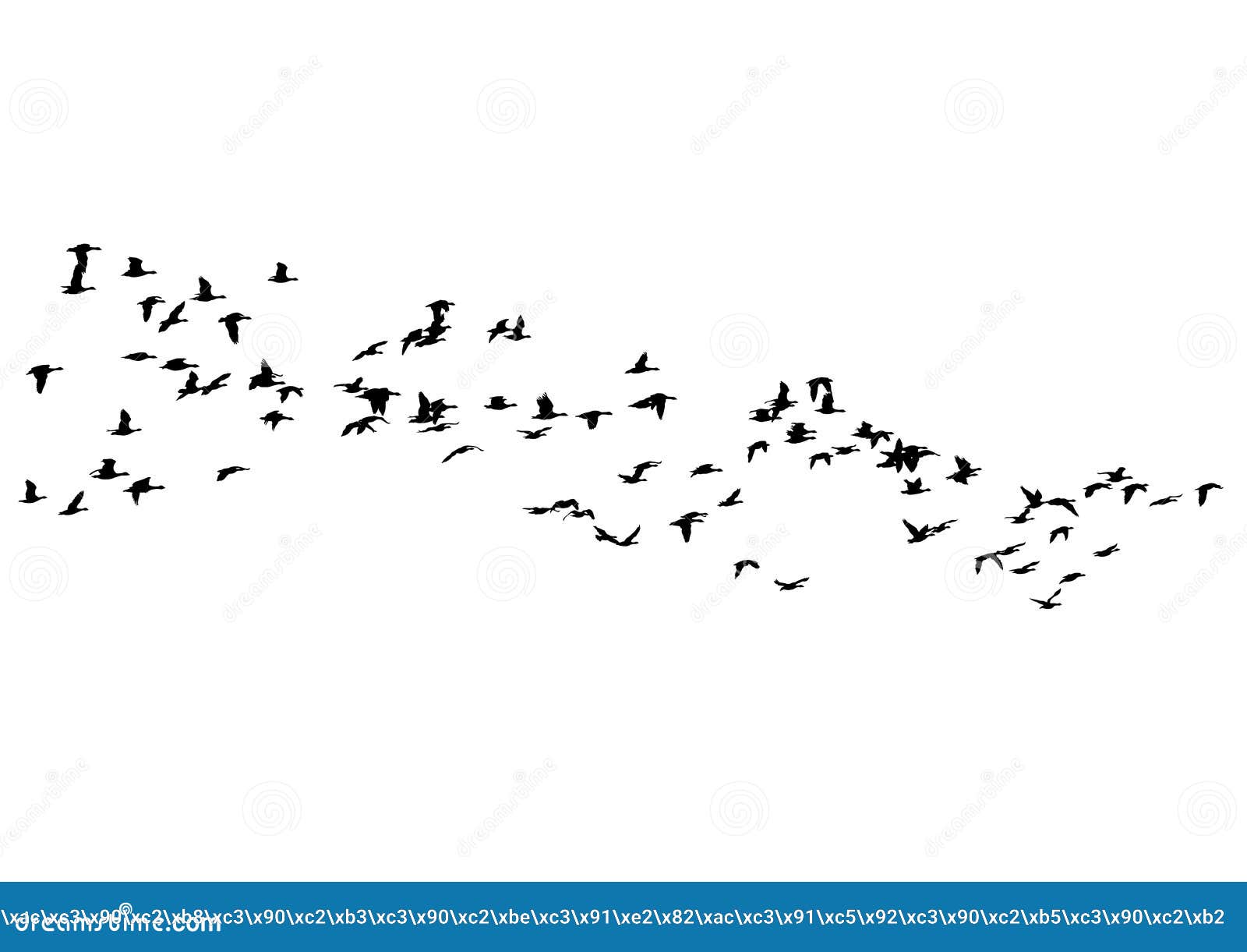Flock of ducks two stock vector. Illustration of nature - 104915521