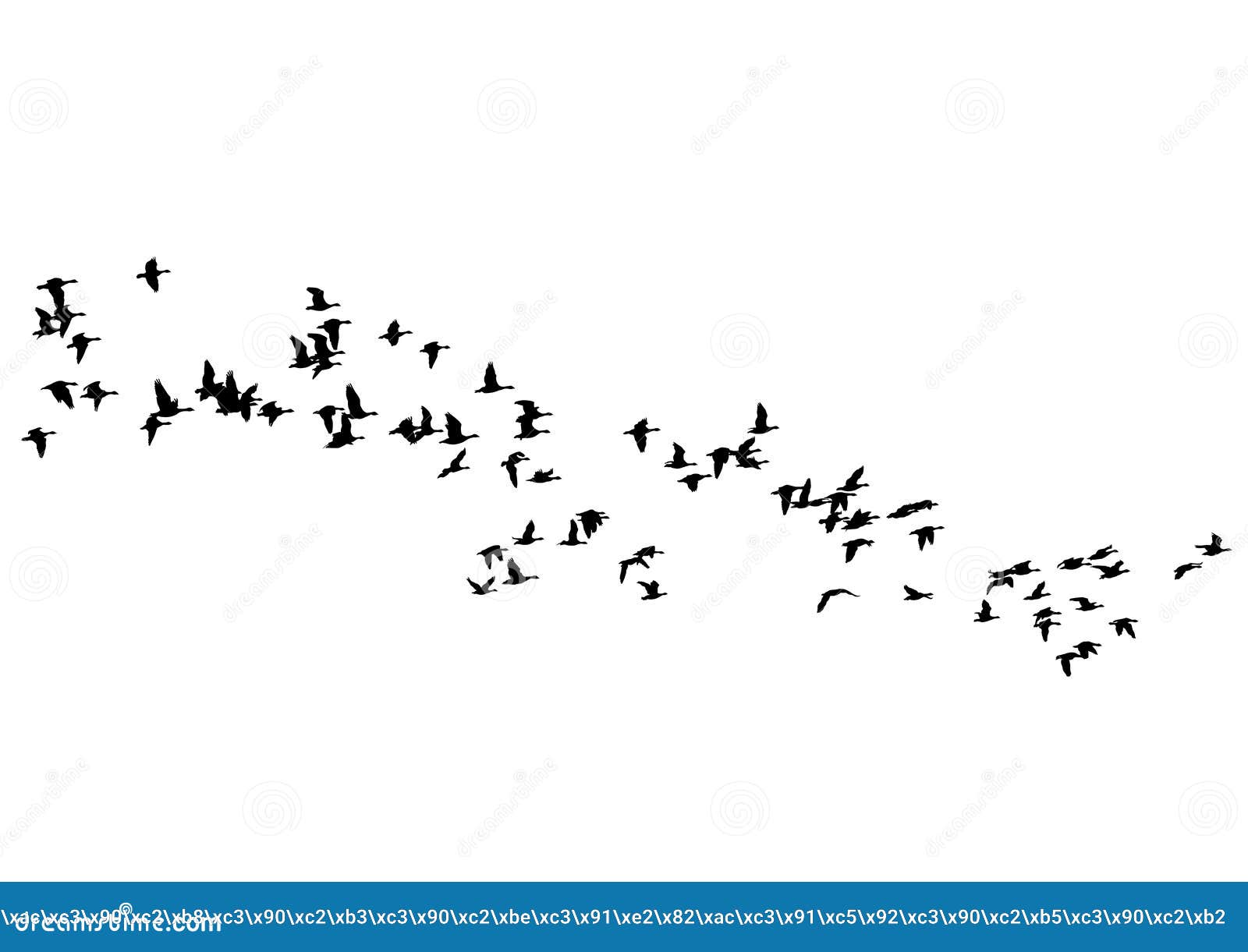 Flock of ducks one stock vector. Illustration of bird - 104915348