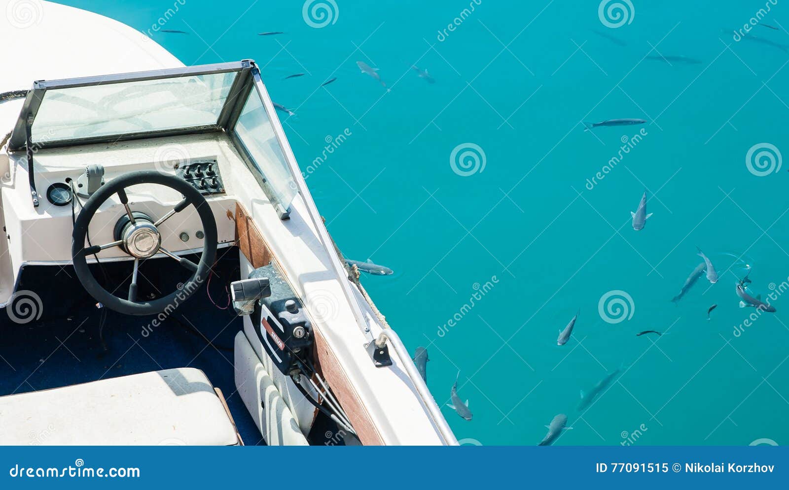 A Flock of Fish Swimming Around the Boat Editorial Image - Image of ...