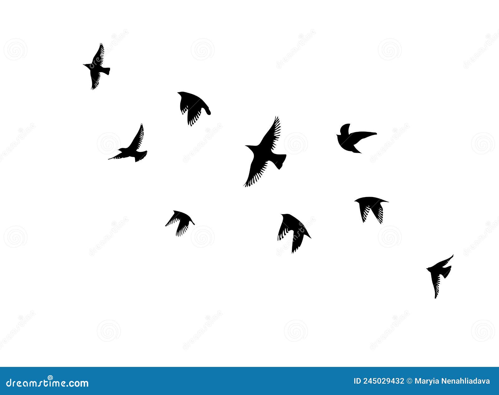 A Flock of Flying Birds. Free Birds. Vector Illustration Stock Vector ...