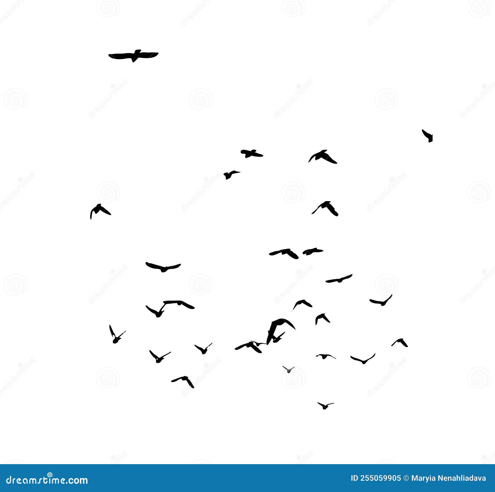 A Flock of Flying Birds. Free Birds. Vector Illustration Stock Vector ...