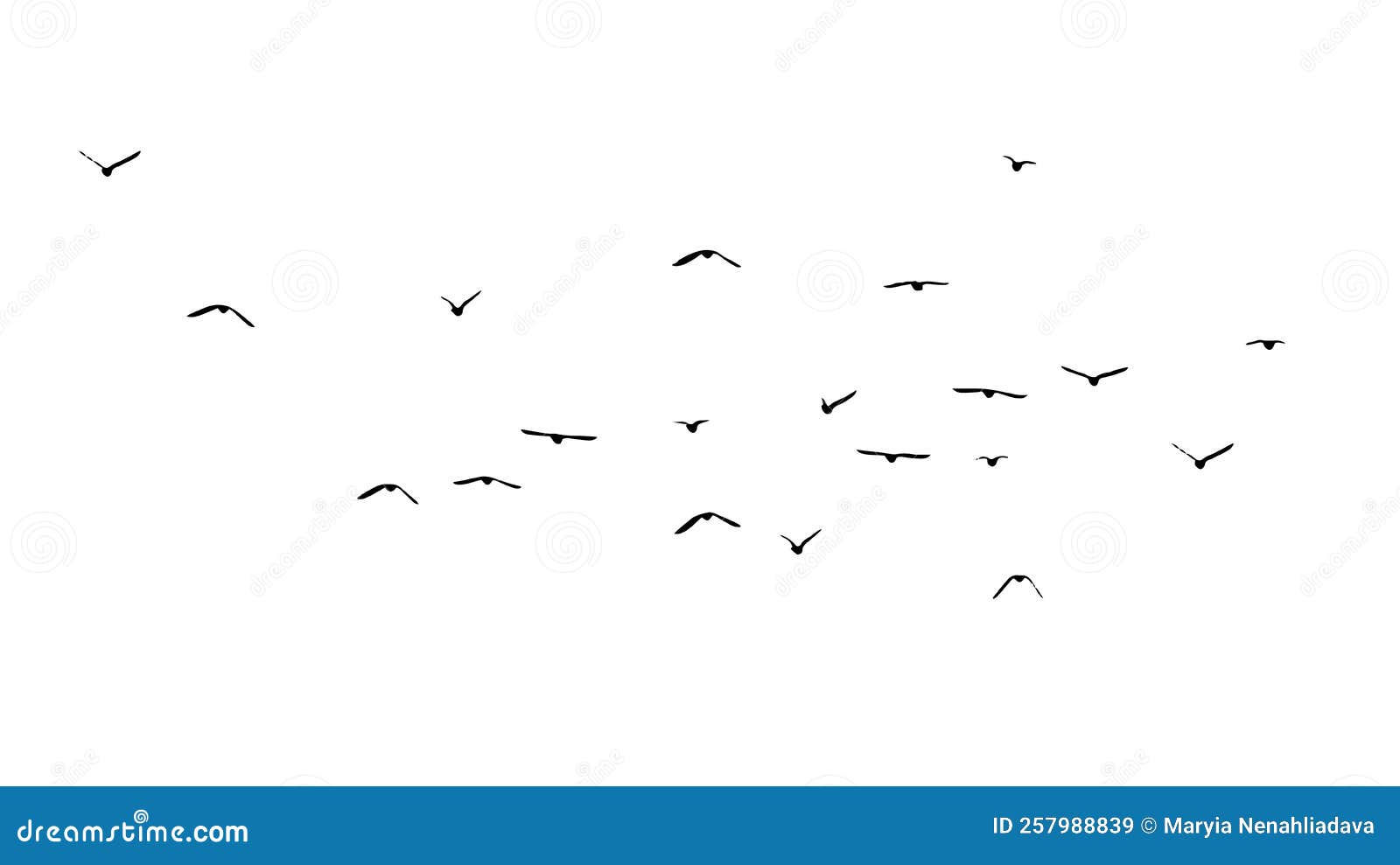 A Flock of Flying Birds. Free Birds. Vector Illustration Stock Vector ...