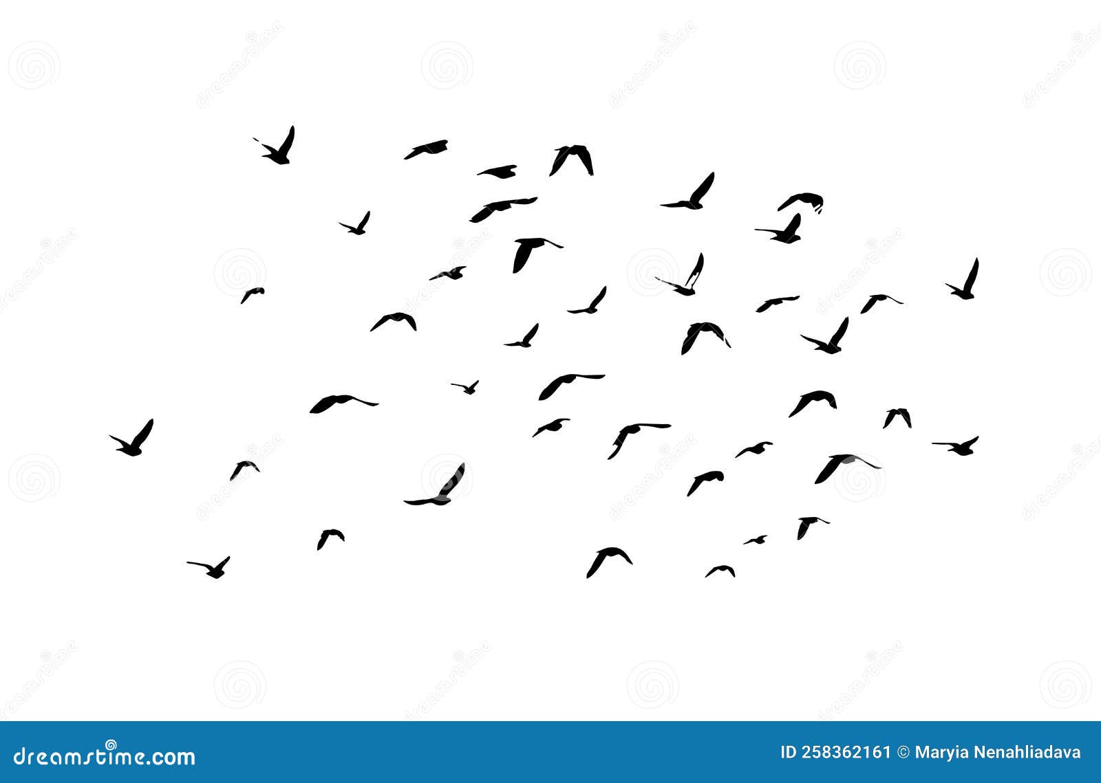 A Flock of Flying Birds. Free Birds. Vector Illustration Stock Vector ...