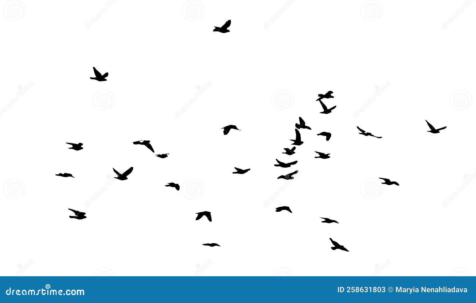 A Flock of Flying Birds. Free Birds. Vector Illustration Stock Vector ...