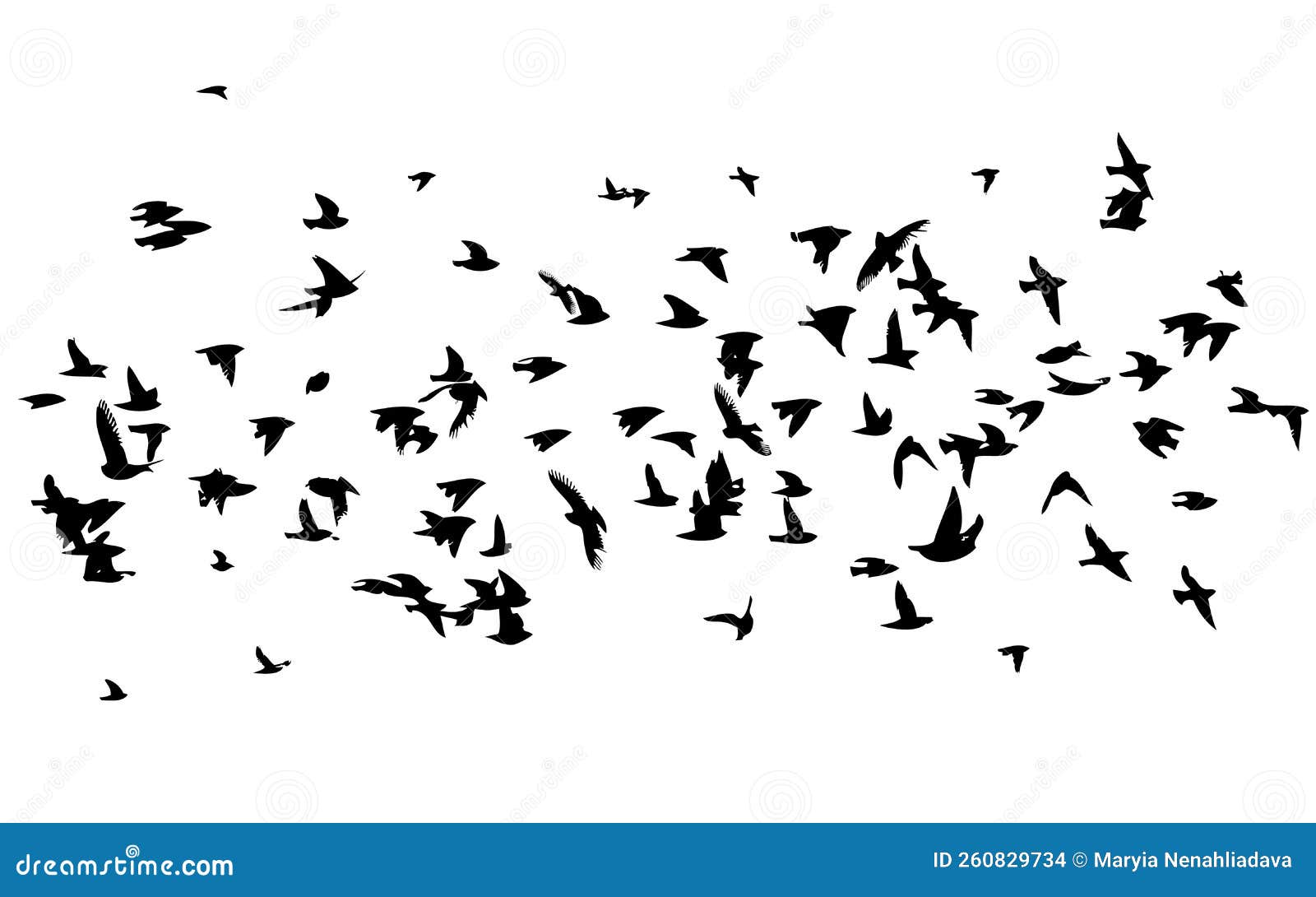A Flock of Flying Birds. Free Birds. Vector Illustration Stock Vector ...