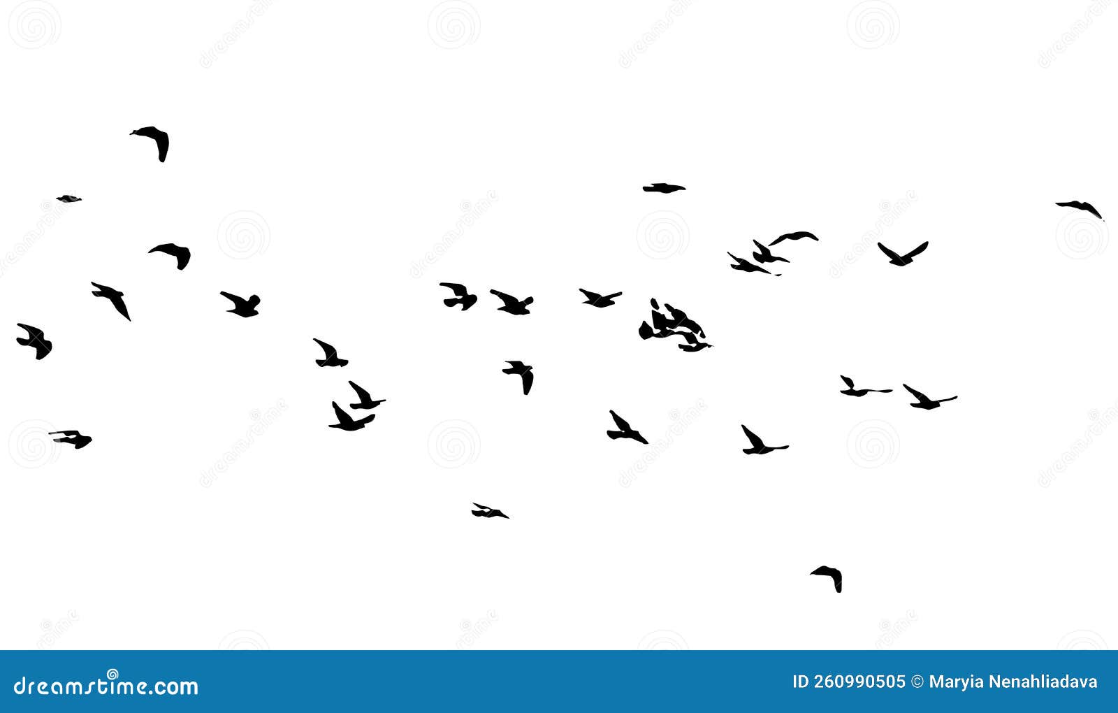 A Flock of Flying Birds. Free Birds. Vector Illustration Stock Vector ...