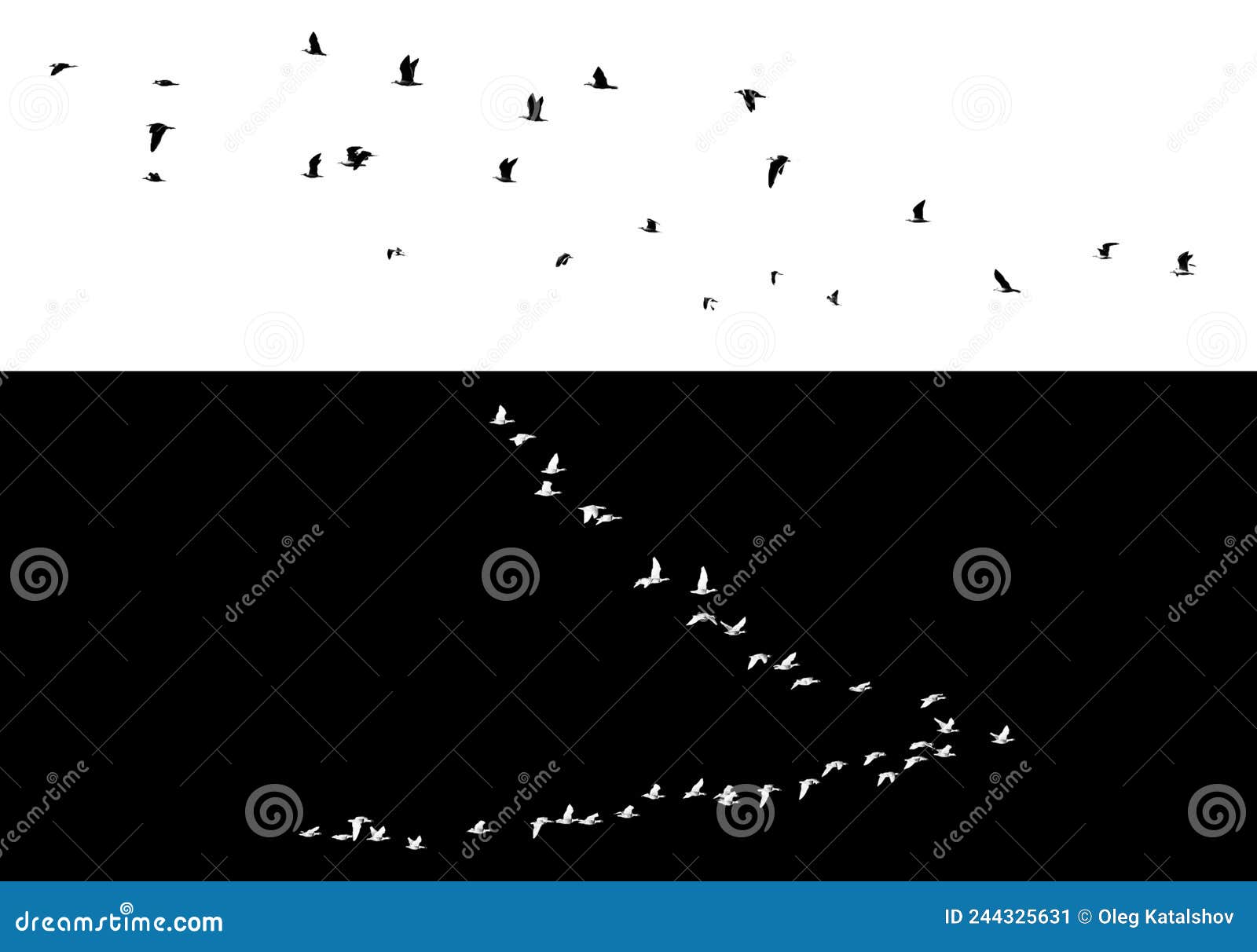 Flocks Of Flying Birds.silhouette Style. Vector Illustration ...