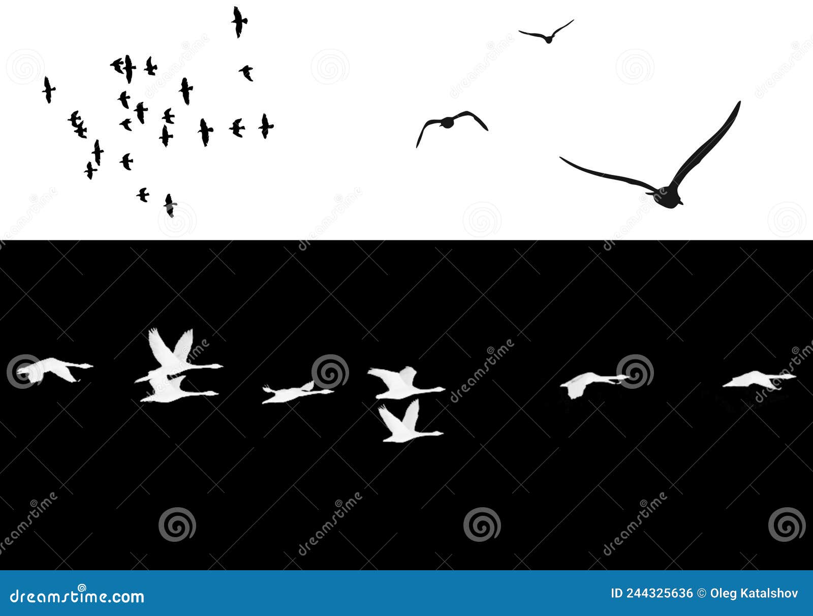 Flocks Of Flying Birds.silhouette Style. Cartoon Vector | CartoonDealer ...
