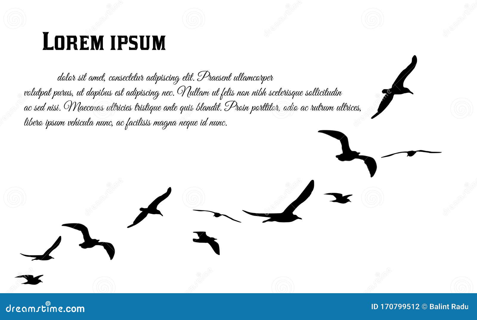 A Flock of Flying Birds Poster Stock Vector - Illustration of animal ...