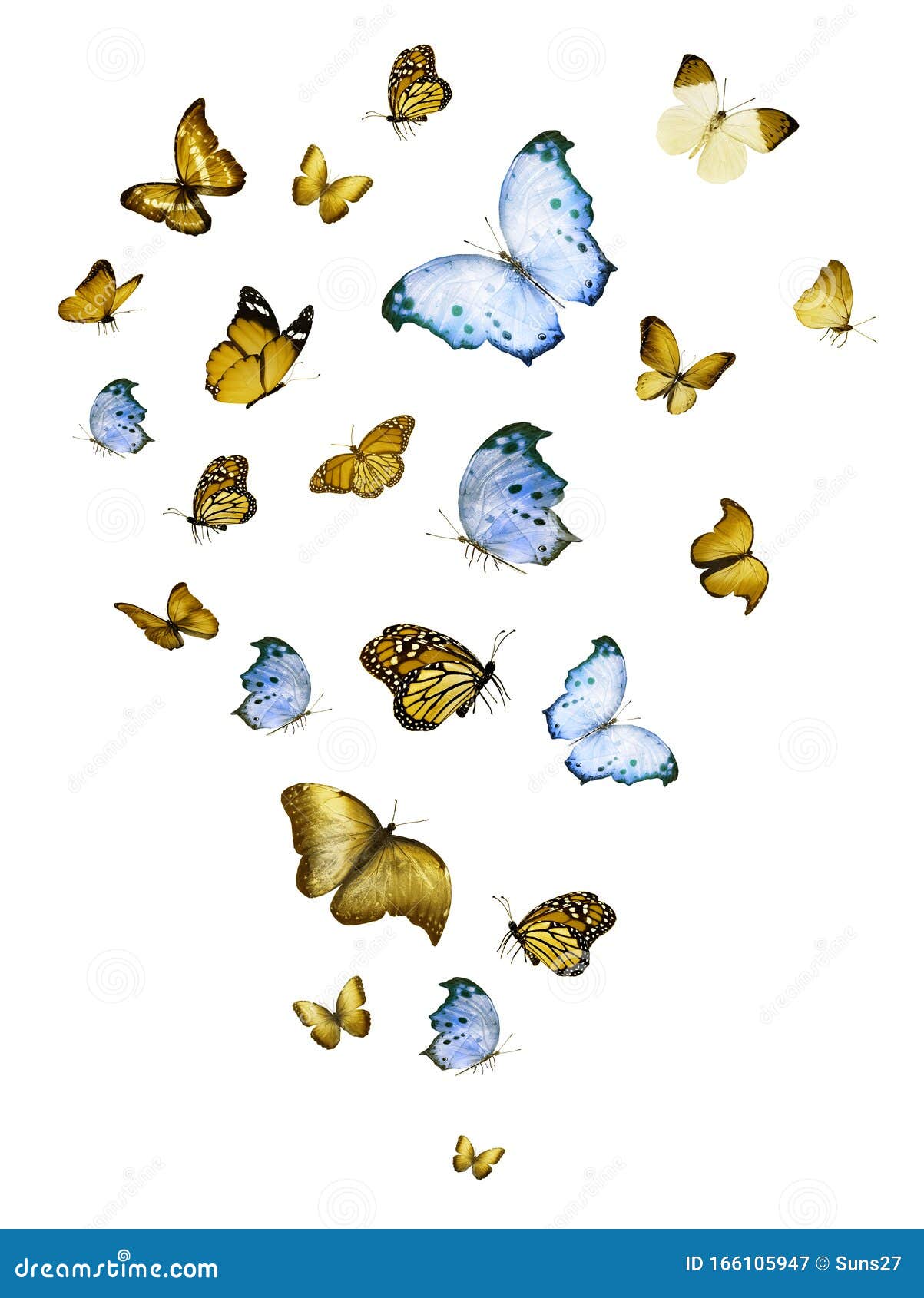 Flock of Flying Butterflies Isolated on White Stock Image - Image of ...