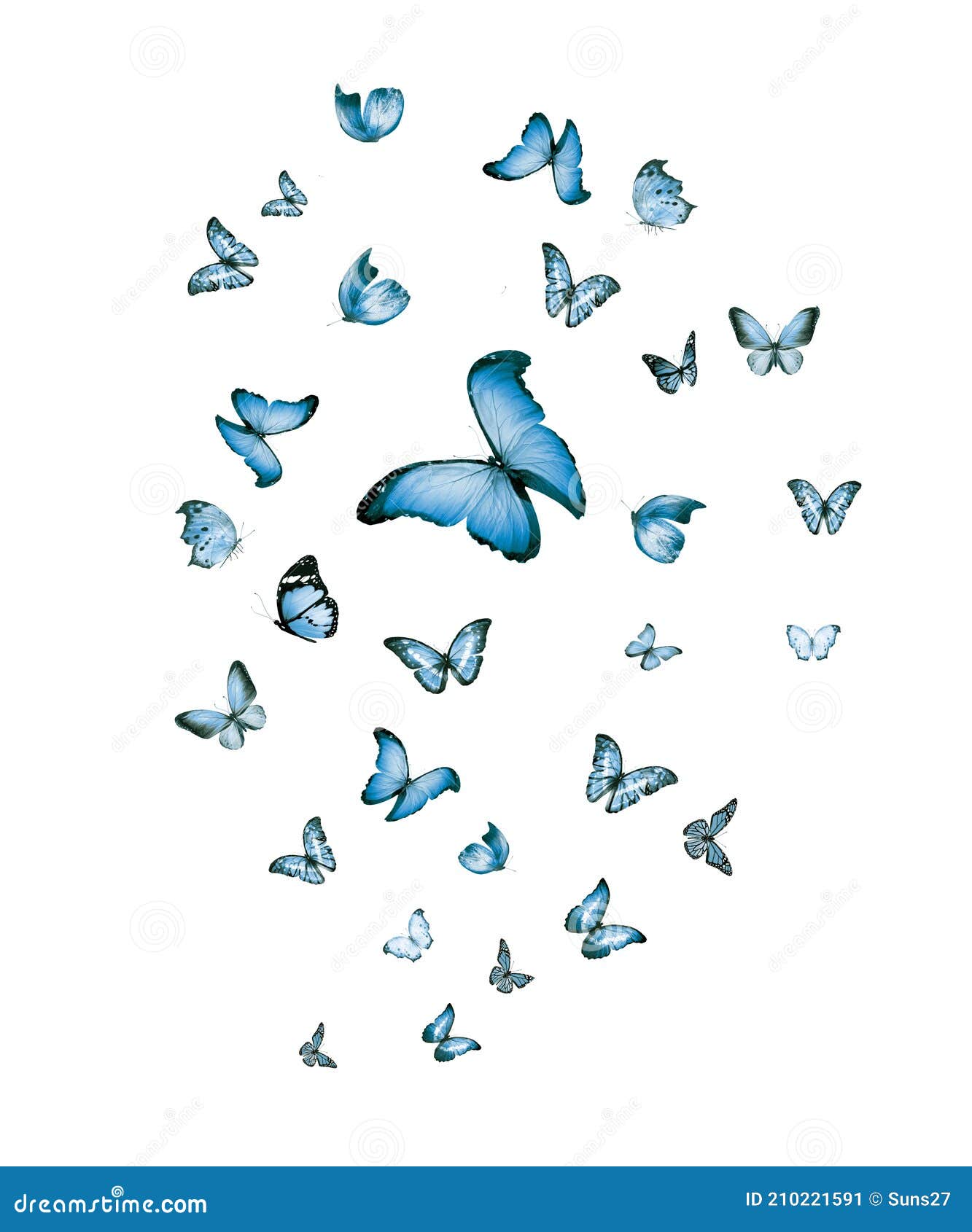 Flock of Flying Butterflies Isolated Stock Illustration - Illustration ...