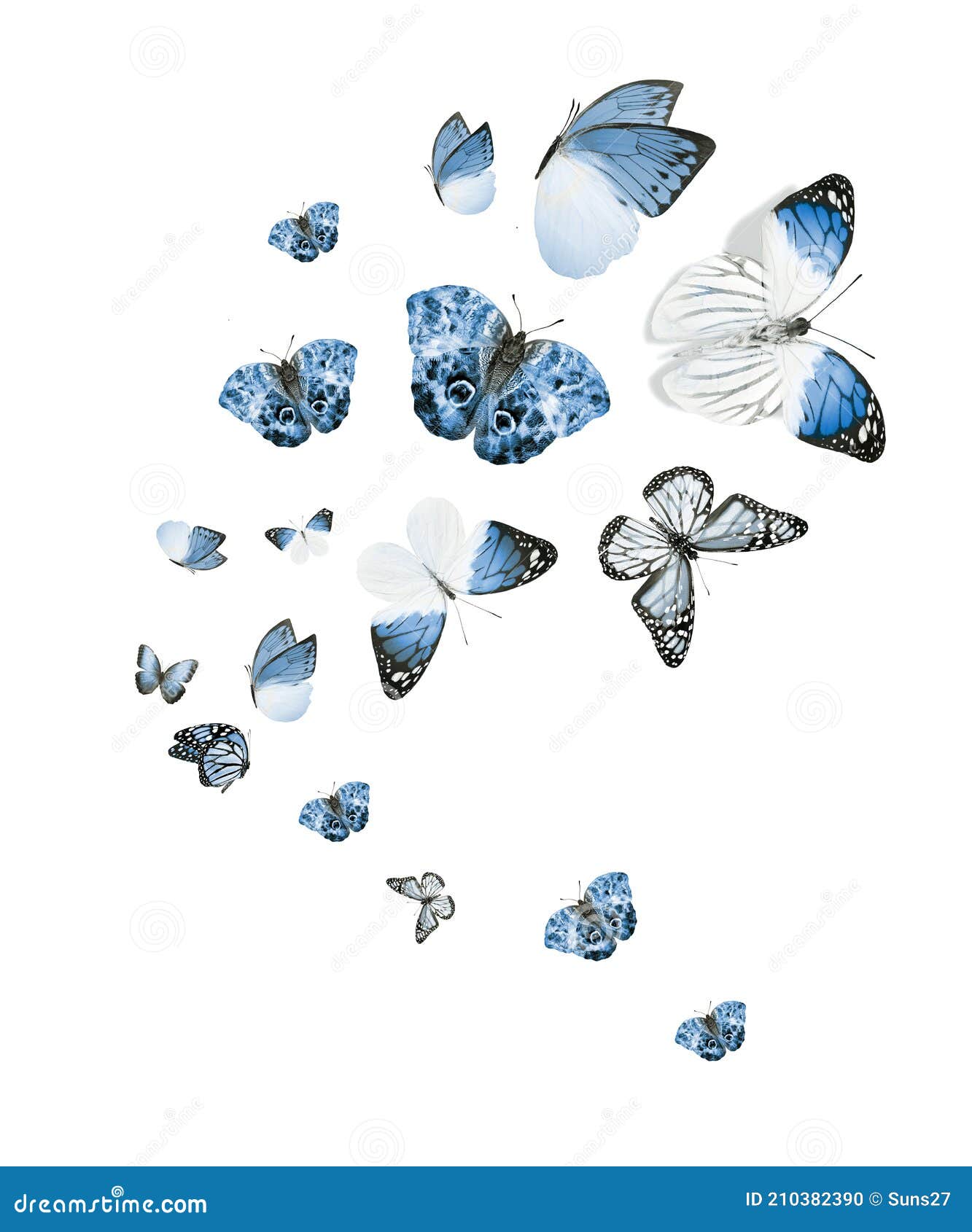 Flock of Flying Butterflies Isolated Stock Illustration - Illustration ...