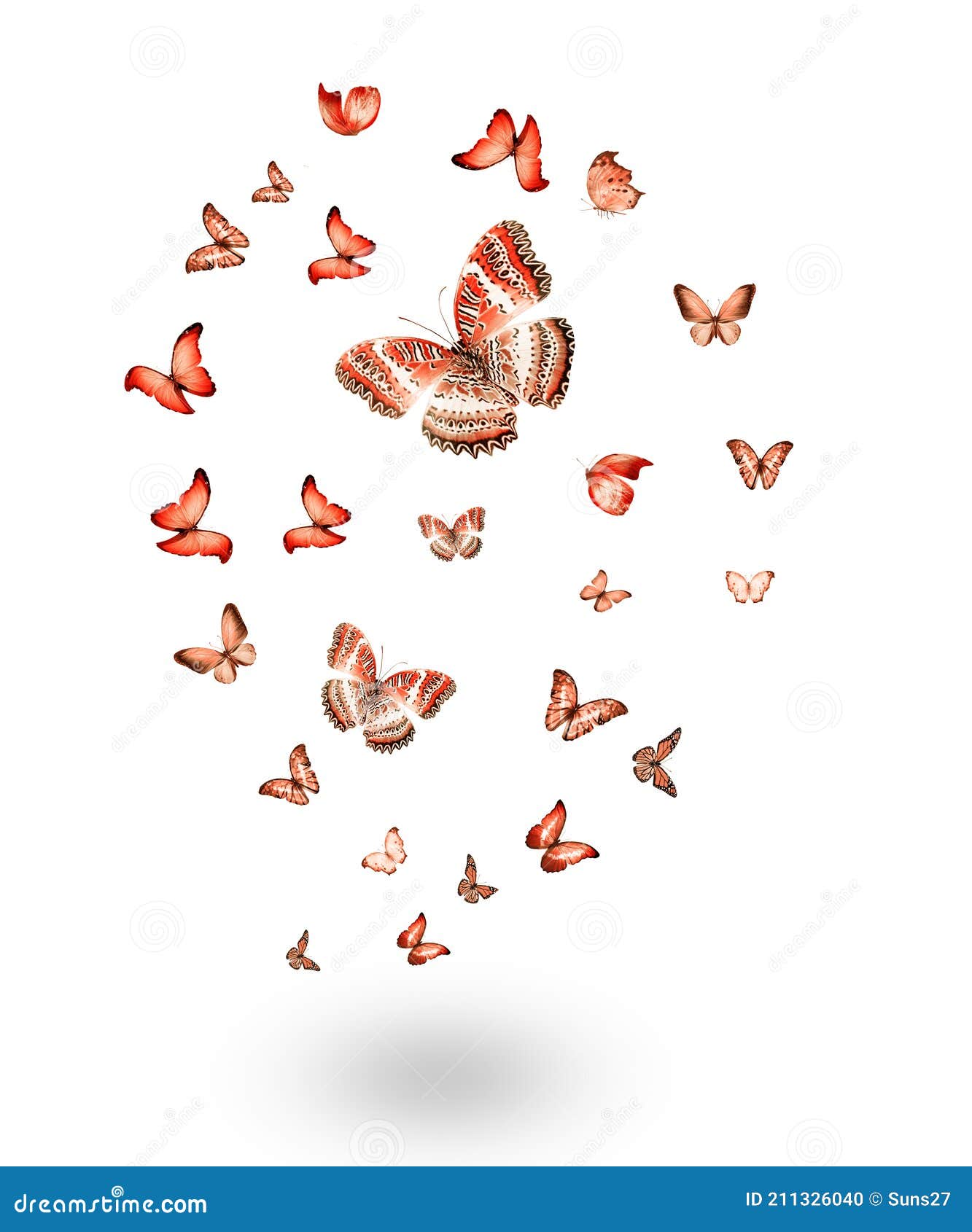 Flock of Flying Butterflies Isolated Stock Photo - Image of environment ...