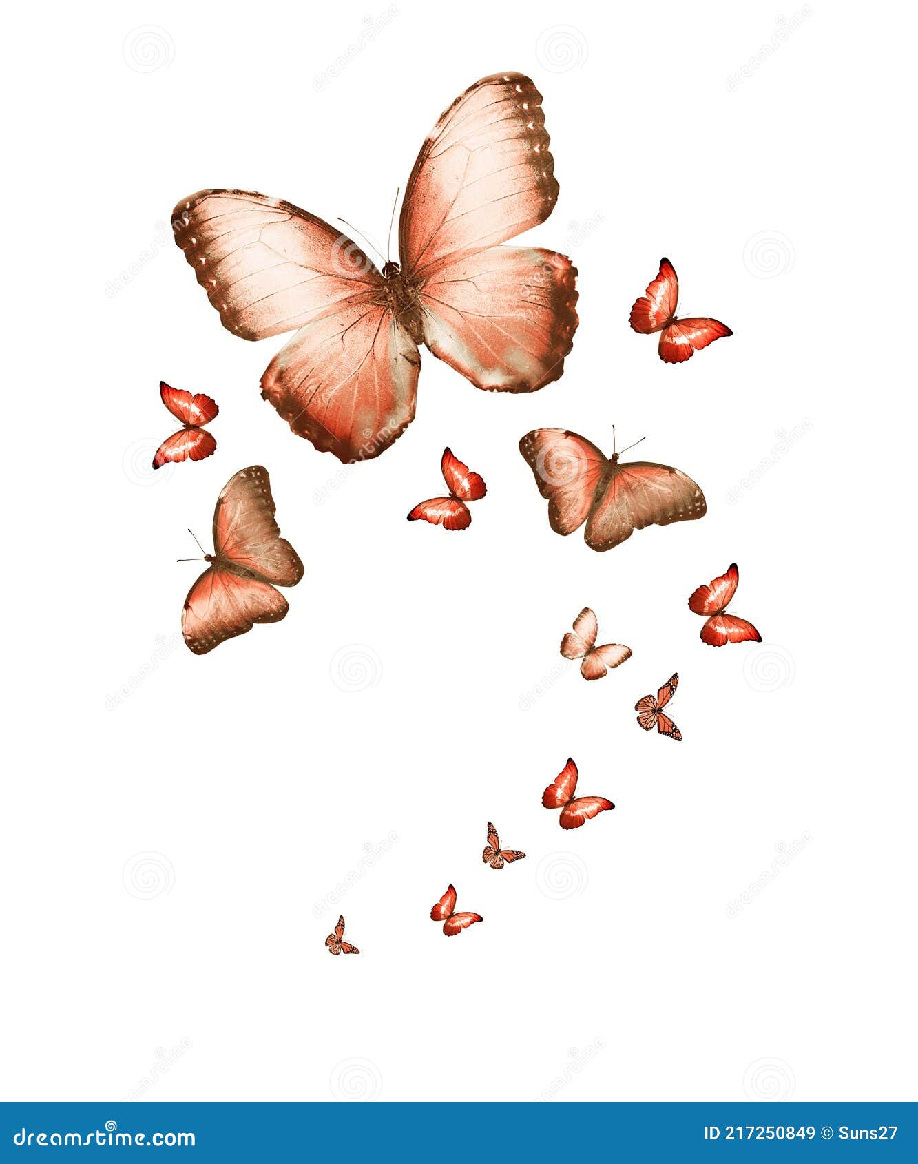 Flock of Flying Butterflies Isolated Stock Image - Image of moth, flock ...