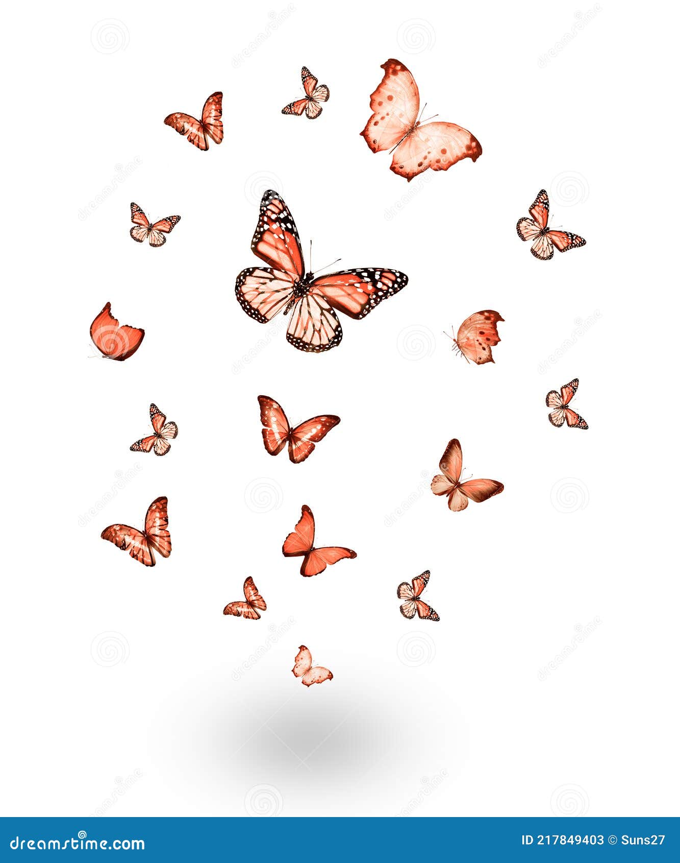 Flock of Flying Butterflies Isolated Stock Illustration - Illustration ...