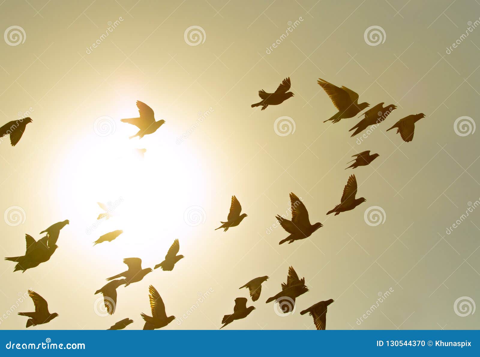 Flying Pigeon Bird Crowd With Temple Tower Royalty-Free Stock ...