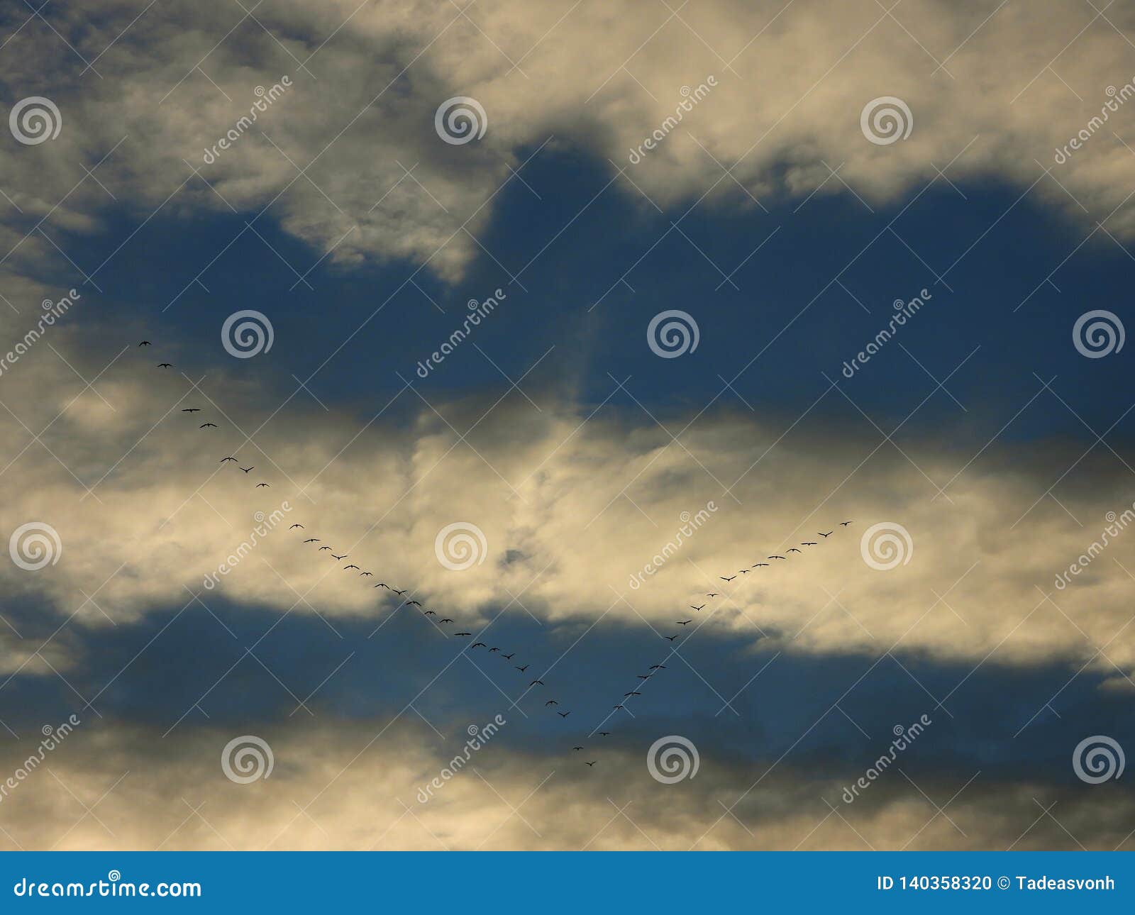 Screaming above the head stock photo. Image of anser - 140358320