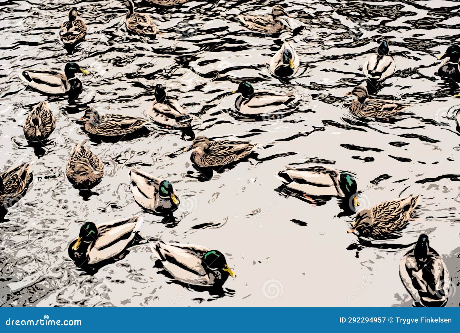 A Flock of Mallards in a Pond.. Stock Image - Image of river, yellow ...