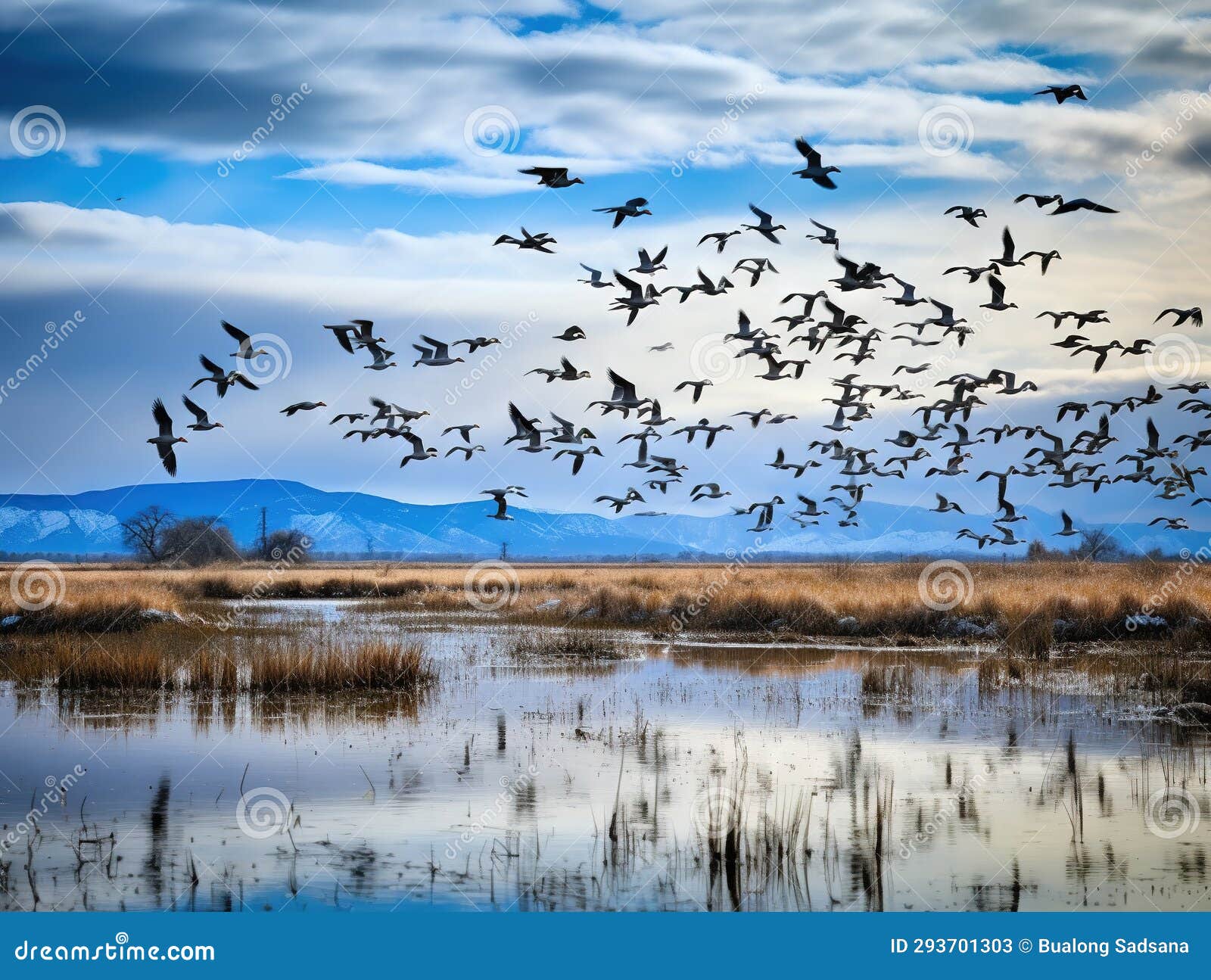 Flock of Migratory Birds Over a Marsh Stock Illustration - Illustration ...