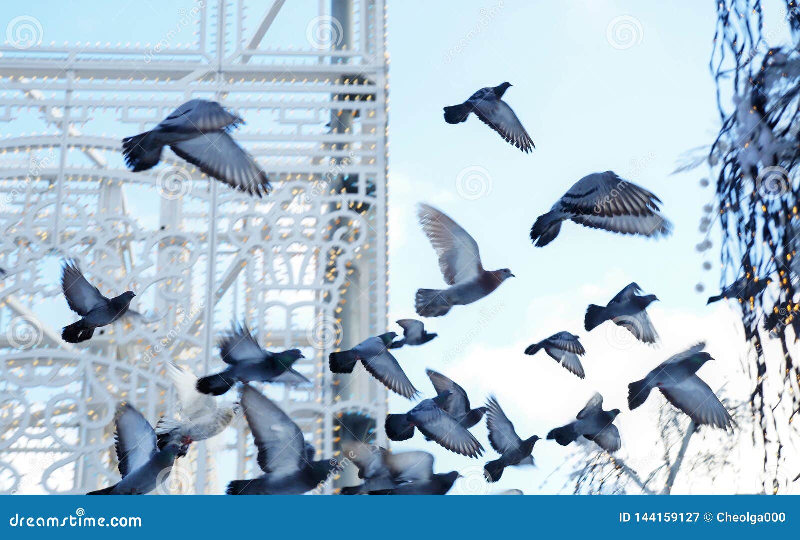 A Flock of Pigeons in Flight, in the Square, Soft Selective Focus Stock ...