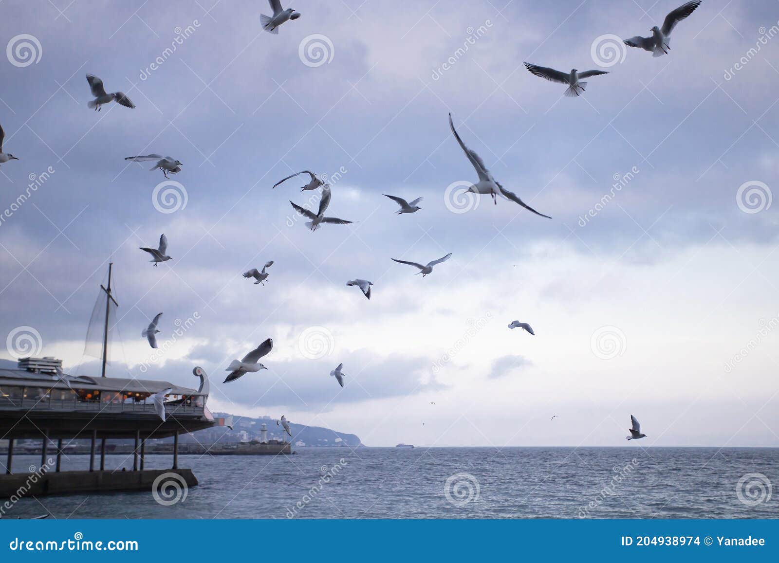 A Flock of Seagulls Fly Over the Blue Ocean, Freedom Concept Stock ...