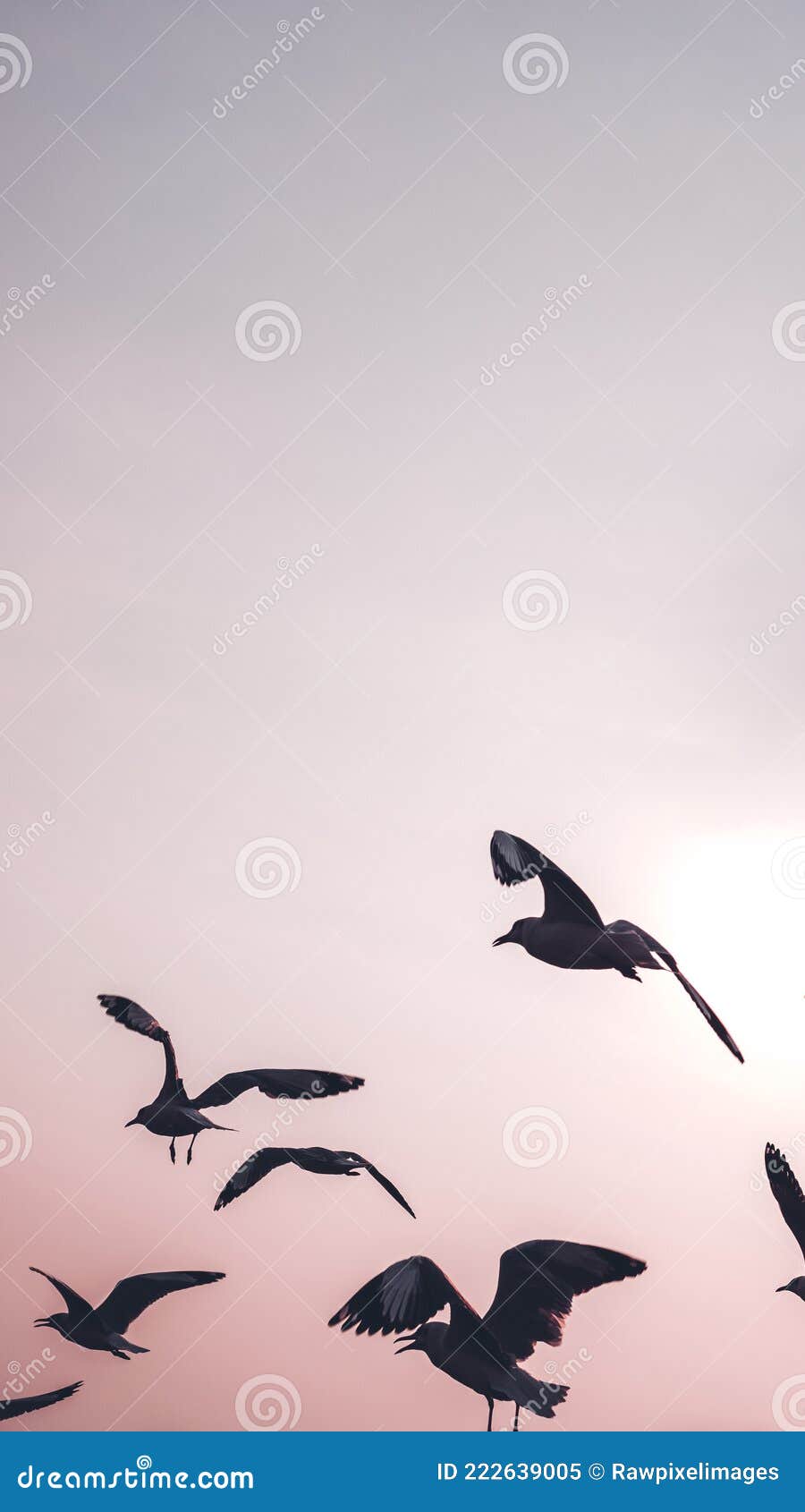 Red Flock Wallpaper Pattern Royalty-Free Stock Photo | CartoonDealer ...