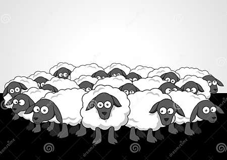 Flock of Sheep stock vector. Illustration of drawing - 21677854