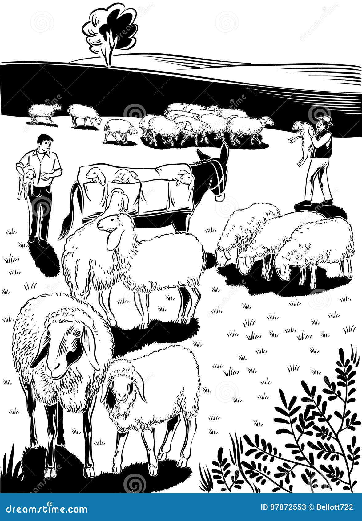Flock of sheep stock illustration. Illustration of breeding - 87872553