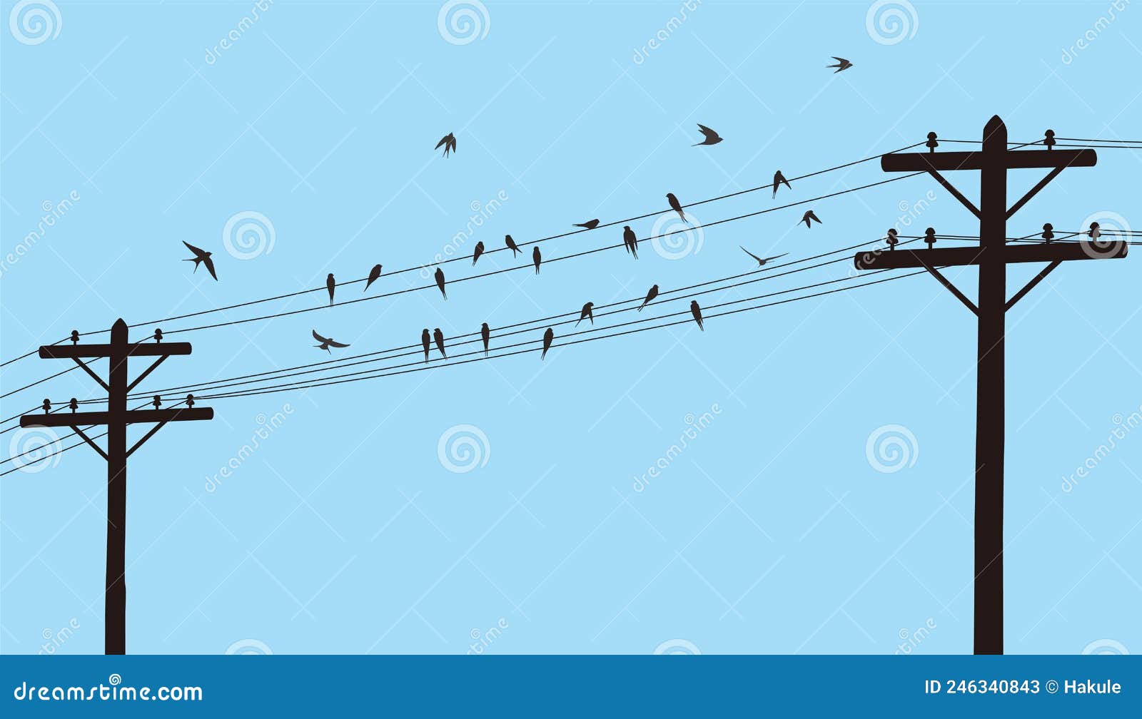 Flock Swallows on the Electric Wire, Vector Illustration Stock Vector ...