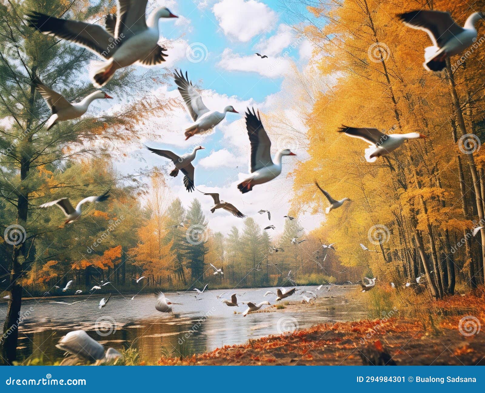 Flock of Wild Geese in Fall Forest Stock Illustration - Illustration of ...