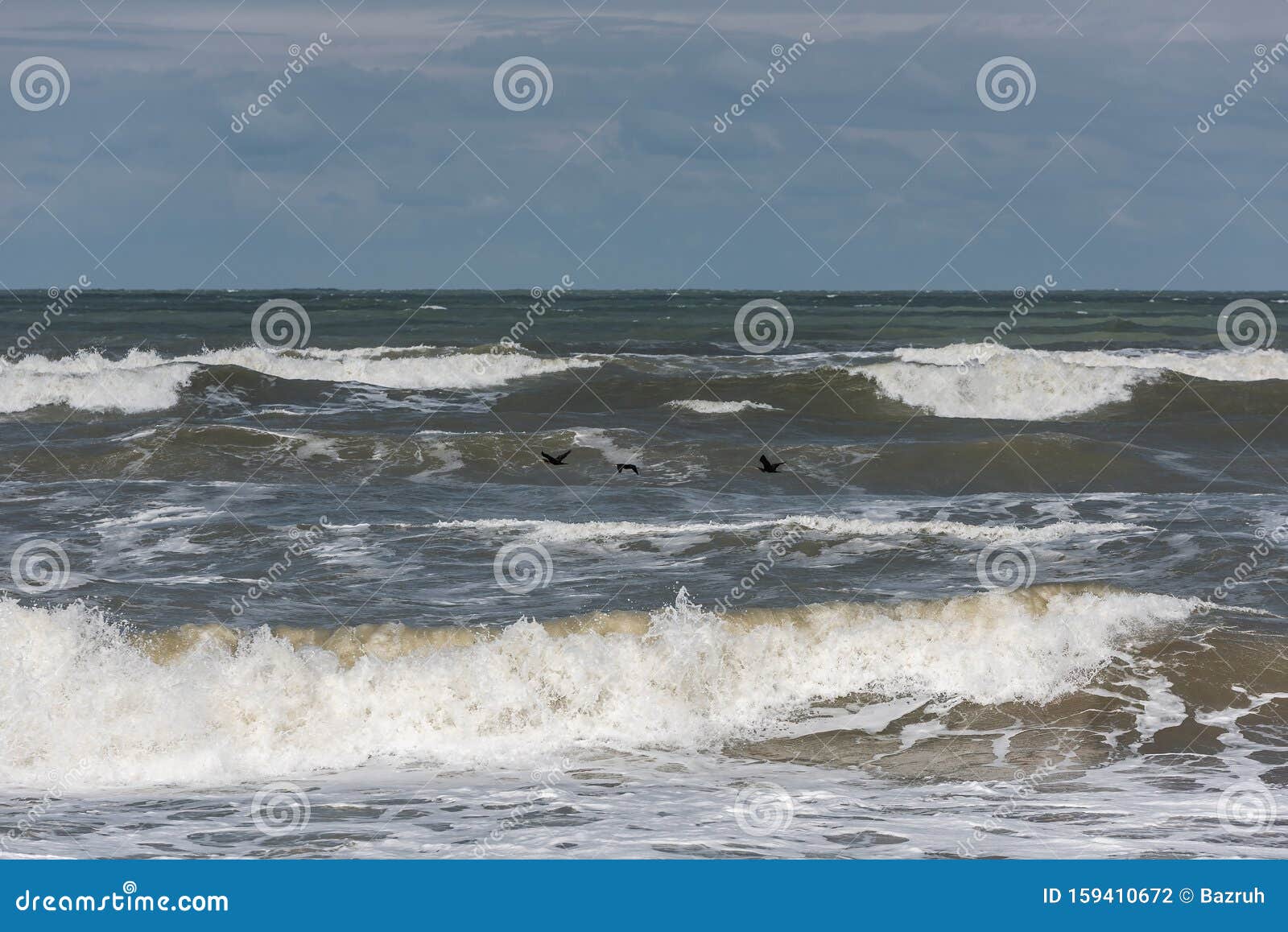 Flock of Wild Geese Fly Over a Stormy Sea Stock Photo - Image of geese ...