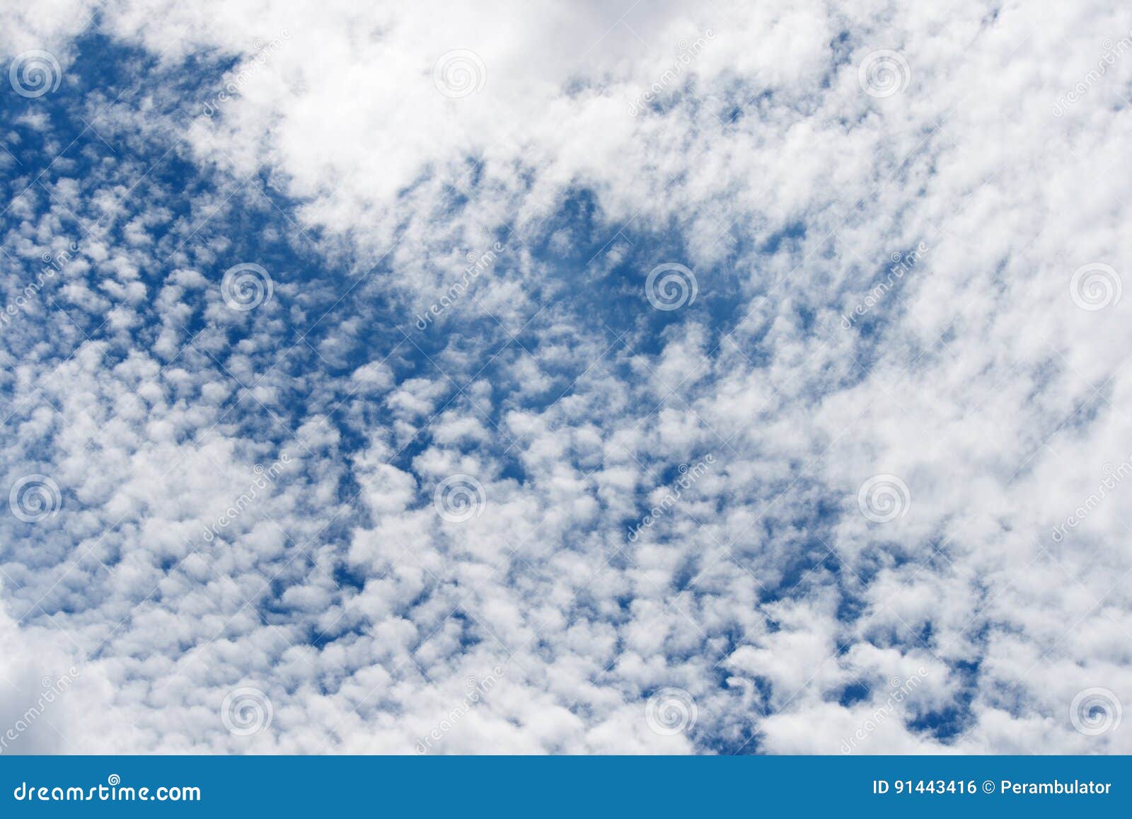 109 Flocculent Stock Photos - Free & Royalty-Free Stock Photos from ...