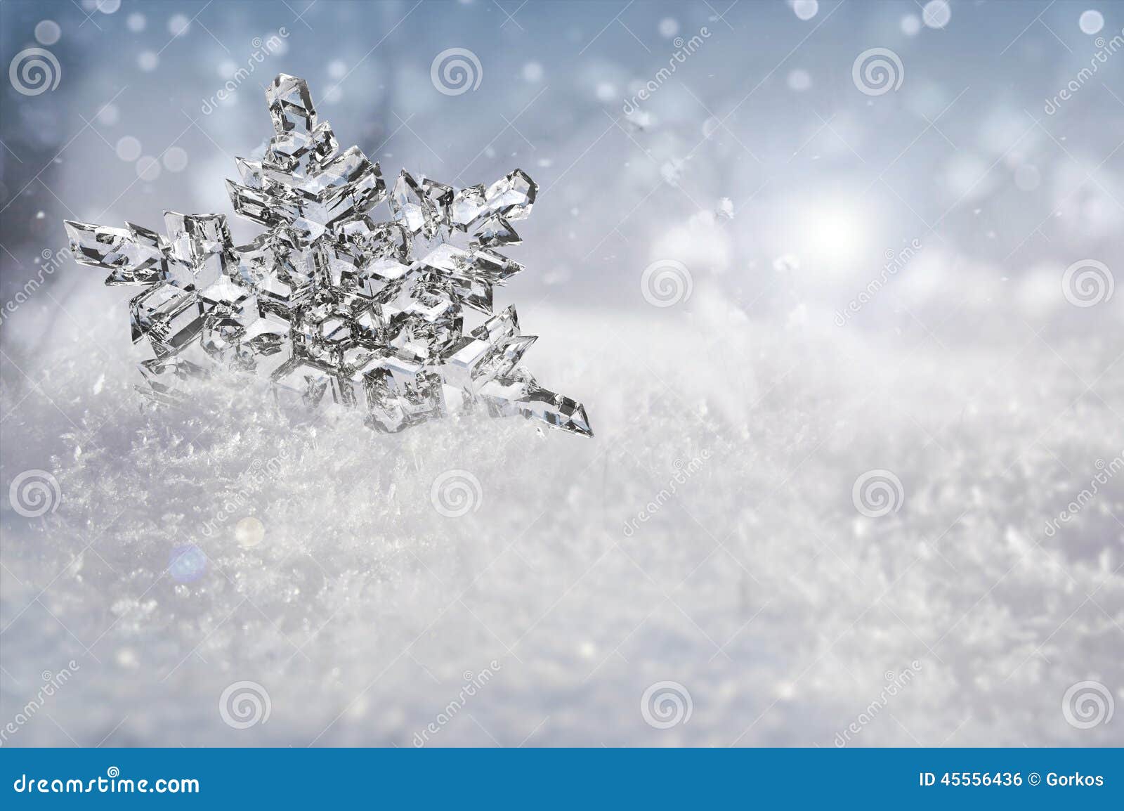 Floco De Neve Bonito Na Neve Real Fora Foto de Stock - Imagem de floco ...