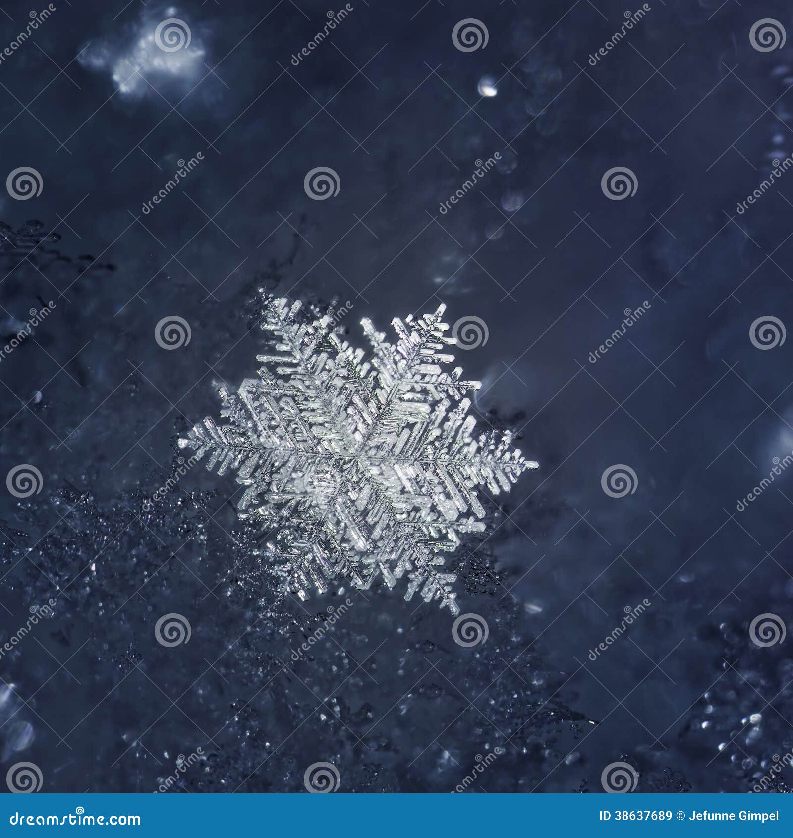 Floco de neve real imagem de stock. Imagem de snowflakes - 38637689