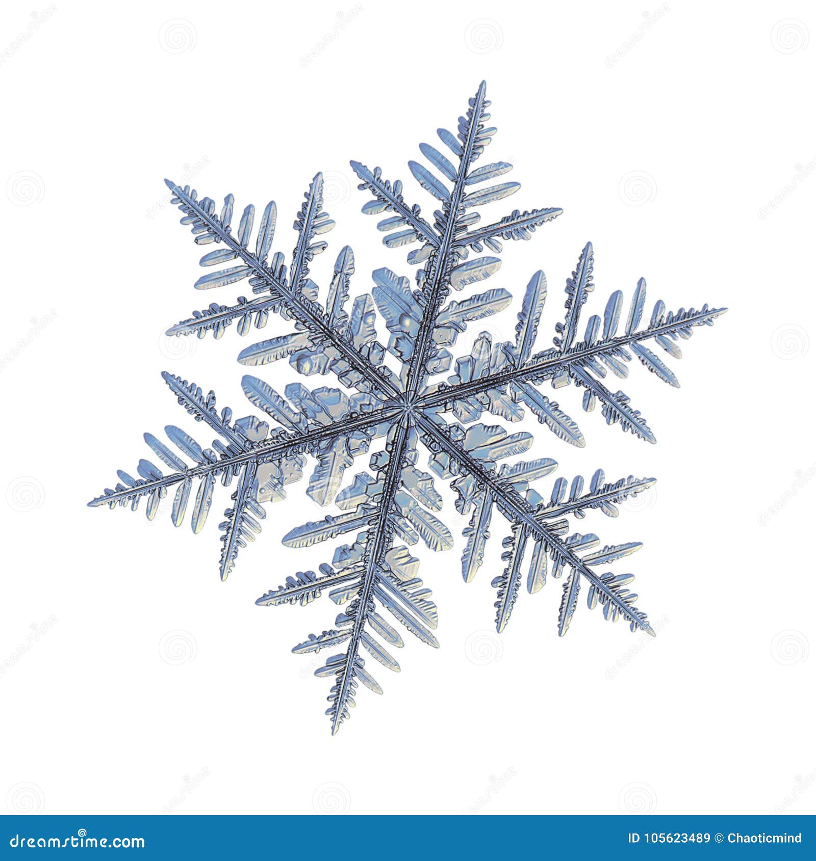 Floco De Neve Real Isolado No Fundo Branco Imagem de Stock - Imagem de ...