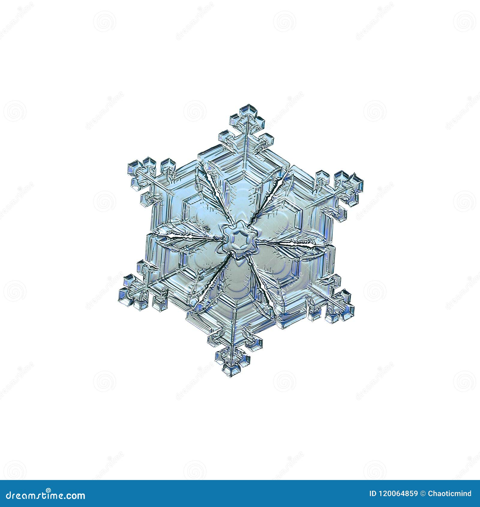 Floco De Neve Real Isolado No Fundo Branco Imagem de Stock - Imagem de ...