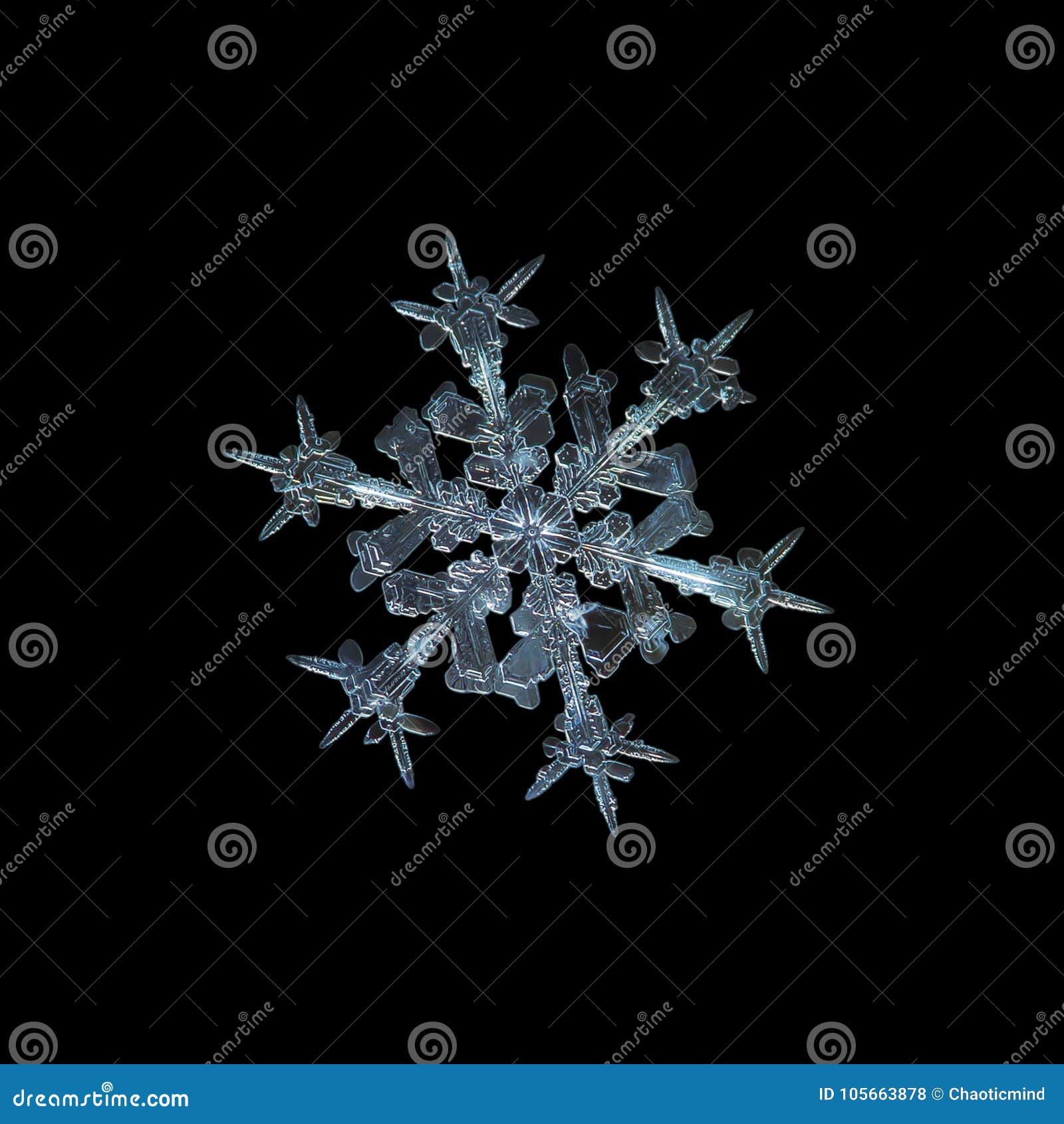 Floco De Neve Real Isolado No Fundo Preto Foto de Stock - Imagem de ...