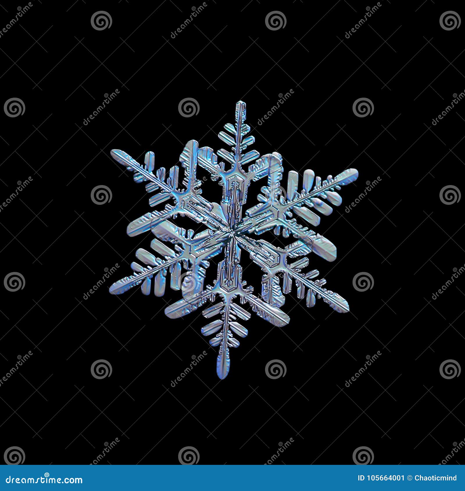 Floco De Neve Real Isolado No Fundo Preto Imagem de Stock - Imagem de ...