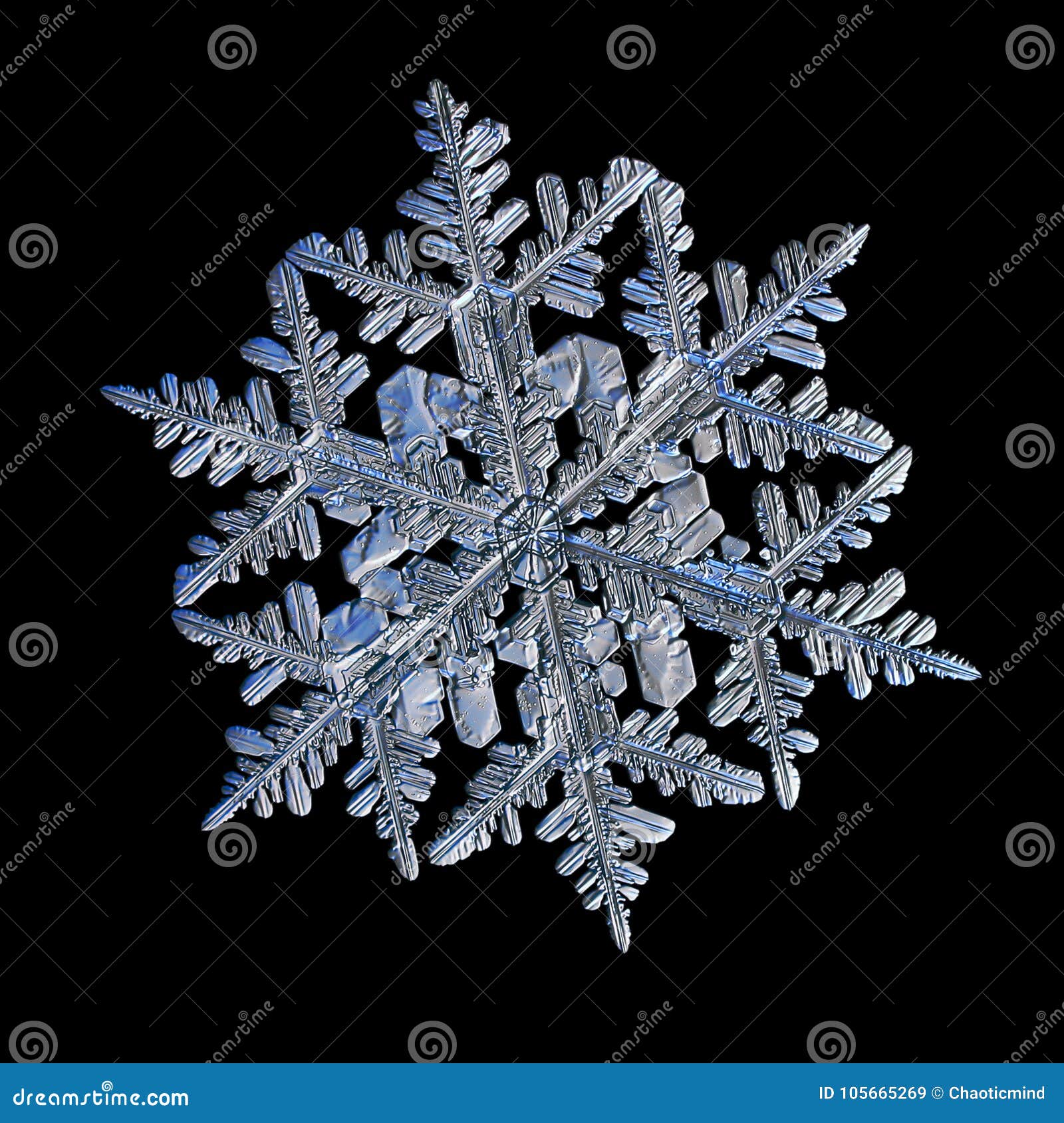 Floco De Neve Real Isolado No Fundo Preto Imagem de Stock - Imagem de ...