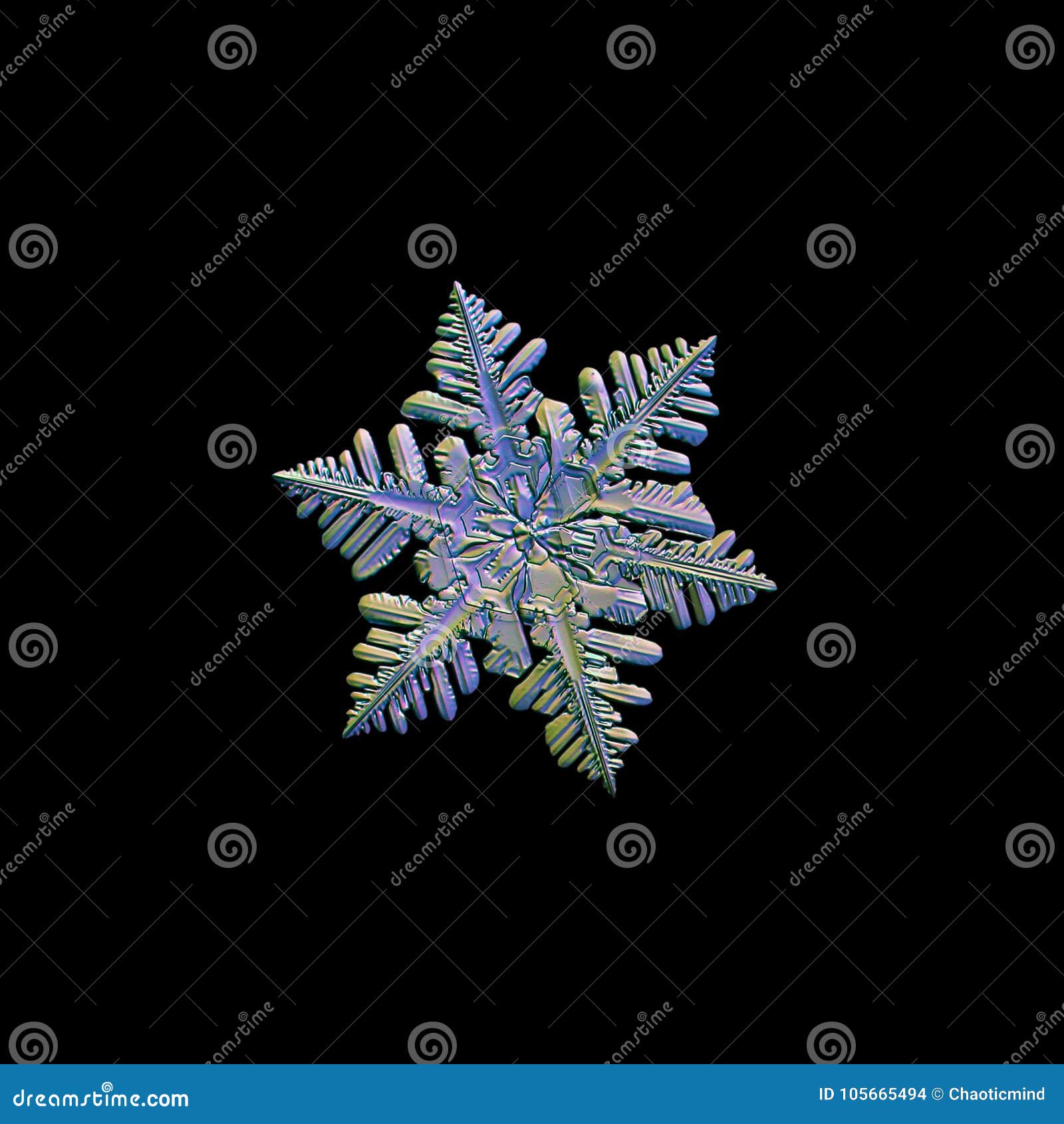 Floco De Neve Real Isolado No Fundo Preto Foto de Stock - Imagem de ...
