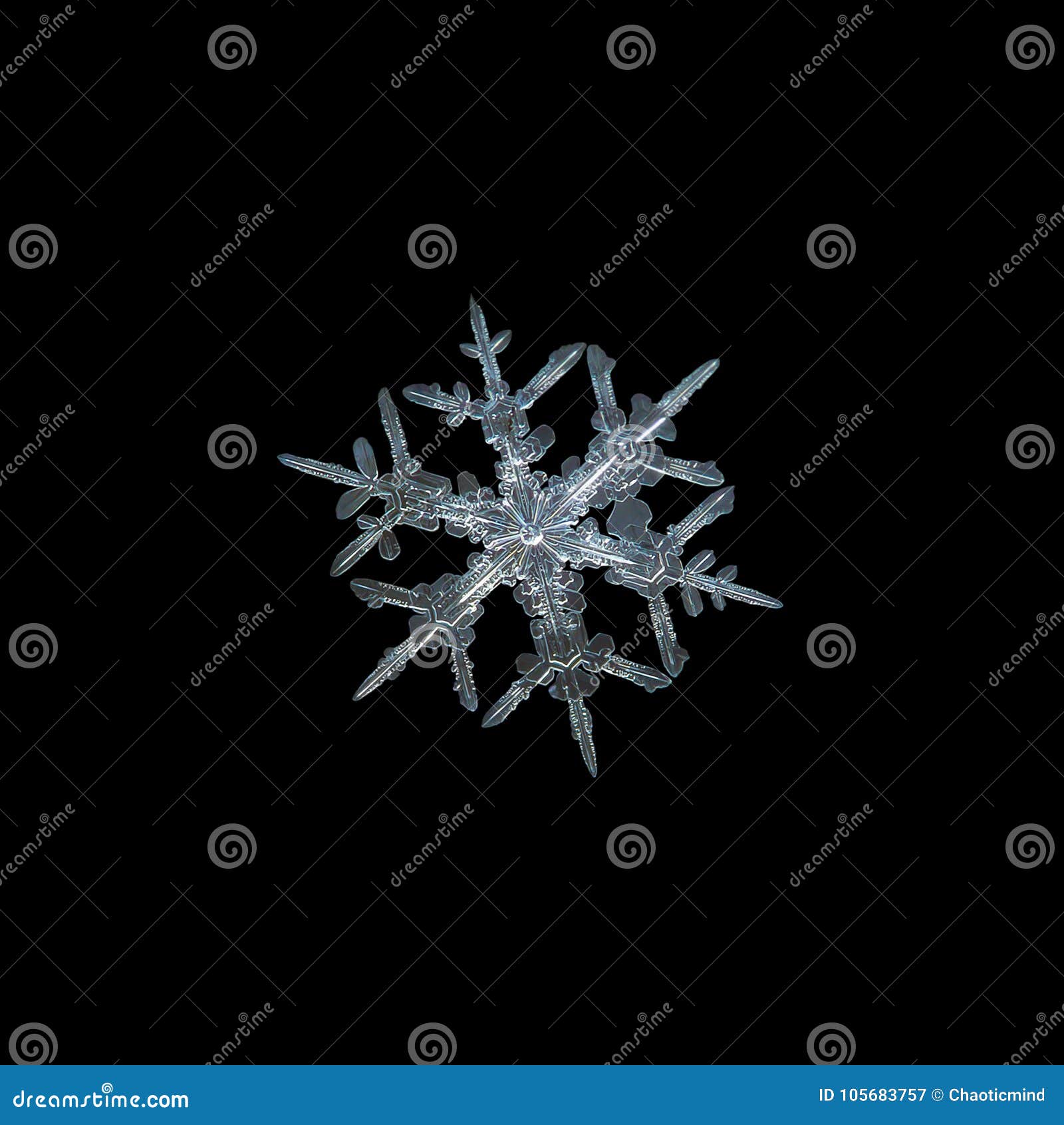 Floco De Neve Real Isolado No Fundo Preto Imagem de Stock - Imagem de ...