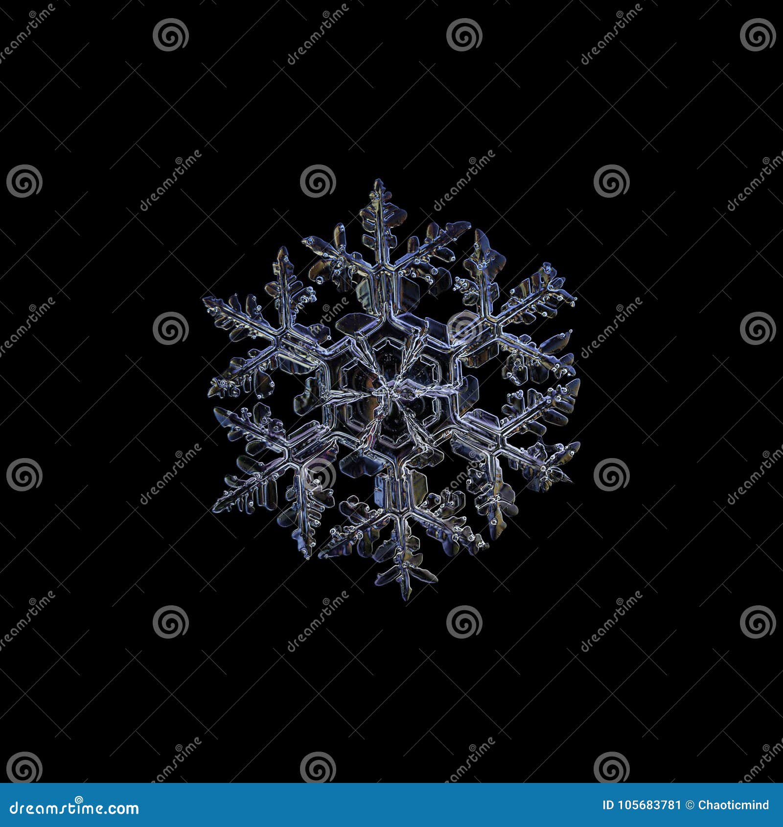 Floco De Neve Real Isolado No Fundo Preto Imagem de Stock - Imagem de ...