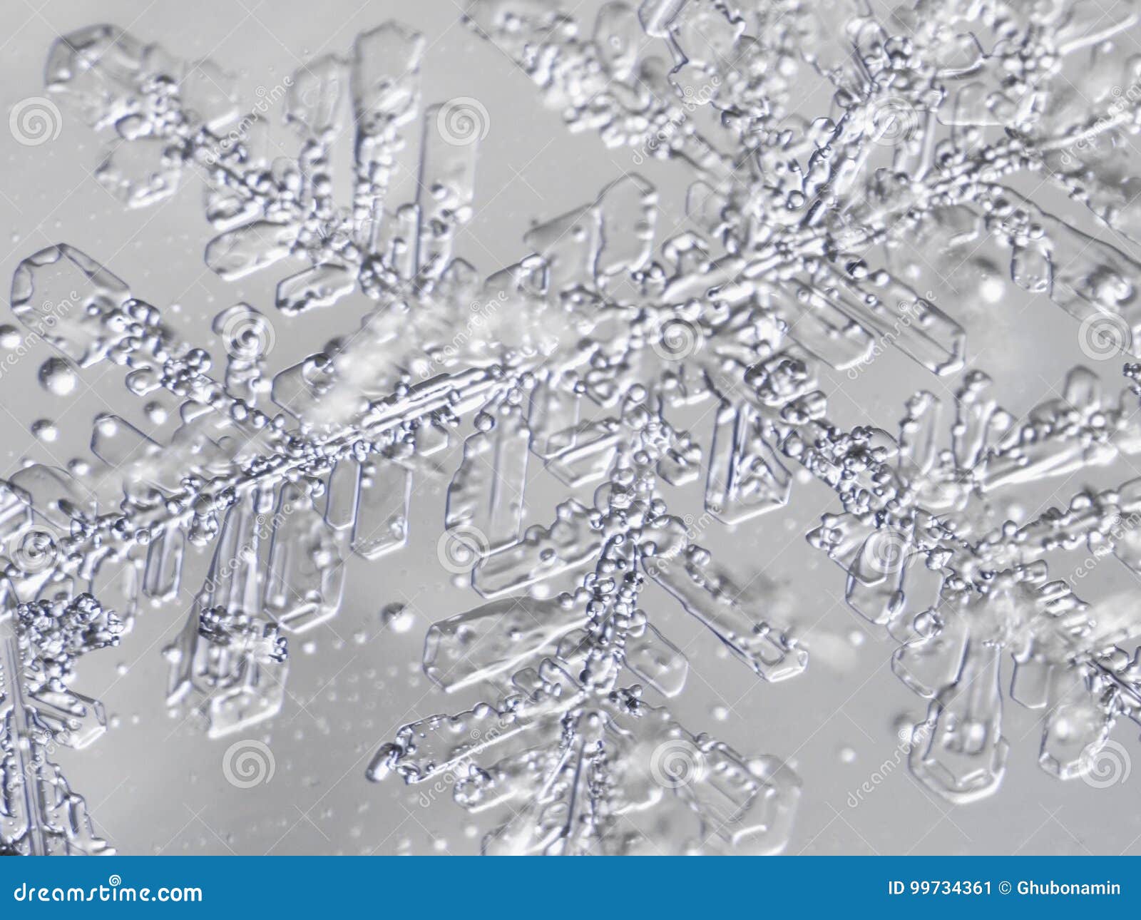 Flocon de neige réel image stock. Image du conception - 99734361