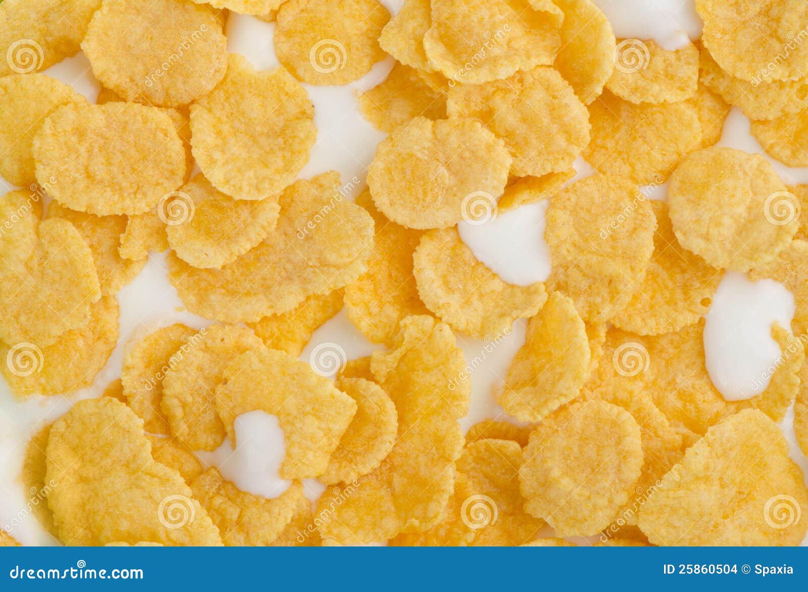 Flocos de milho foto de stock. Imagem de leite, cornflakes - 25860504