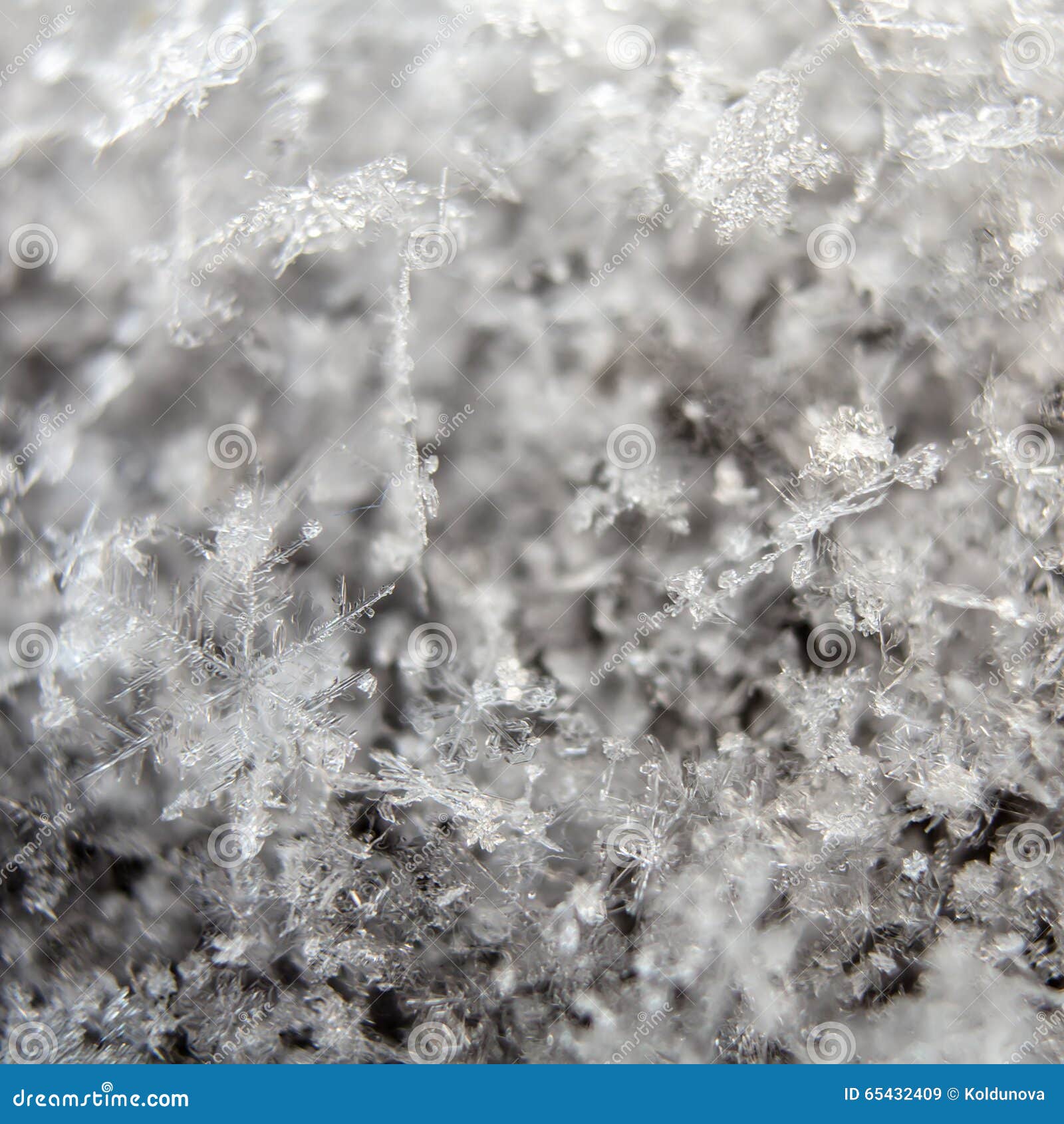 Flocos de neve macro reais imagem de stock. Imagem de snowflakes - 65432409